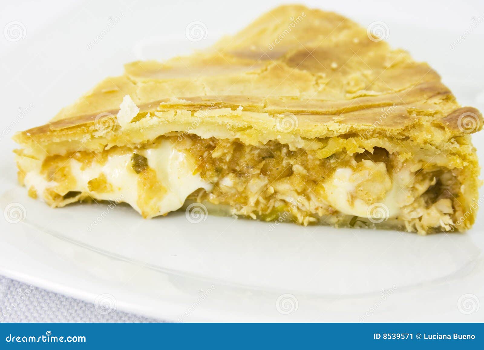Slice of chicken pie stock image. Image of cheese, plate - 8539571