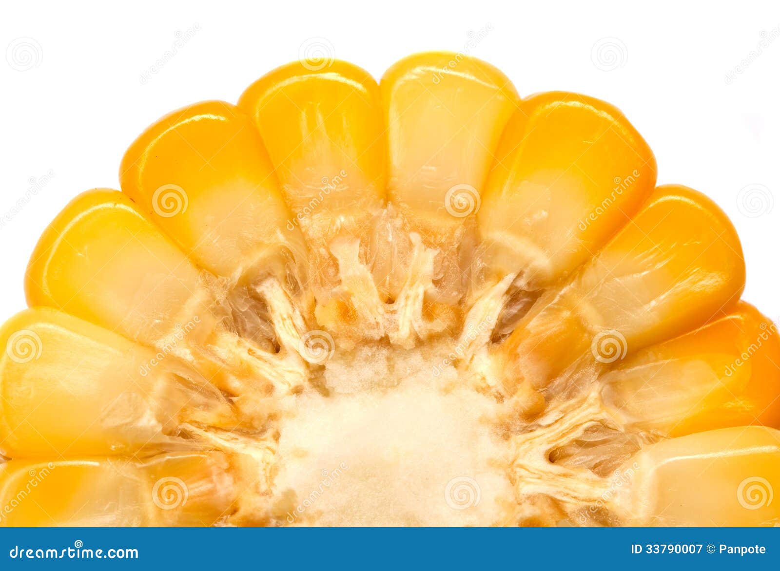 Slice corn stock image. Image of boiled, corn, slices - 33790007