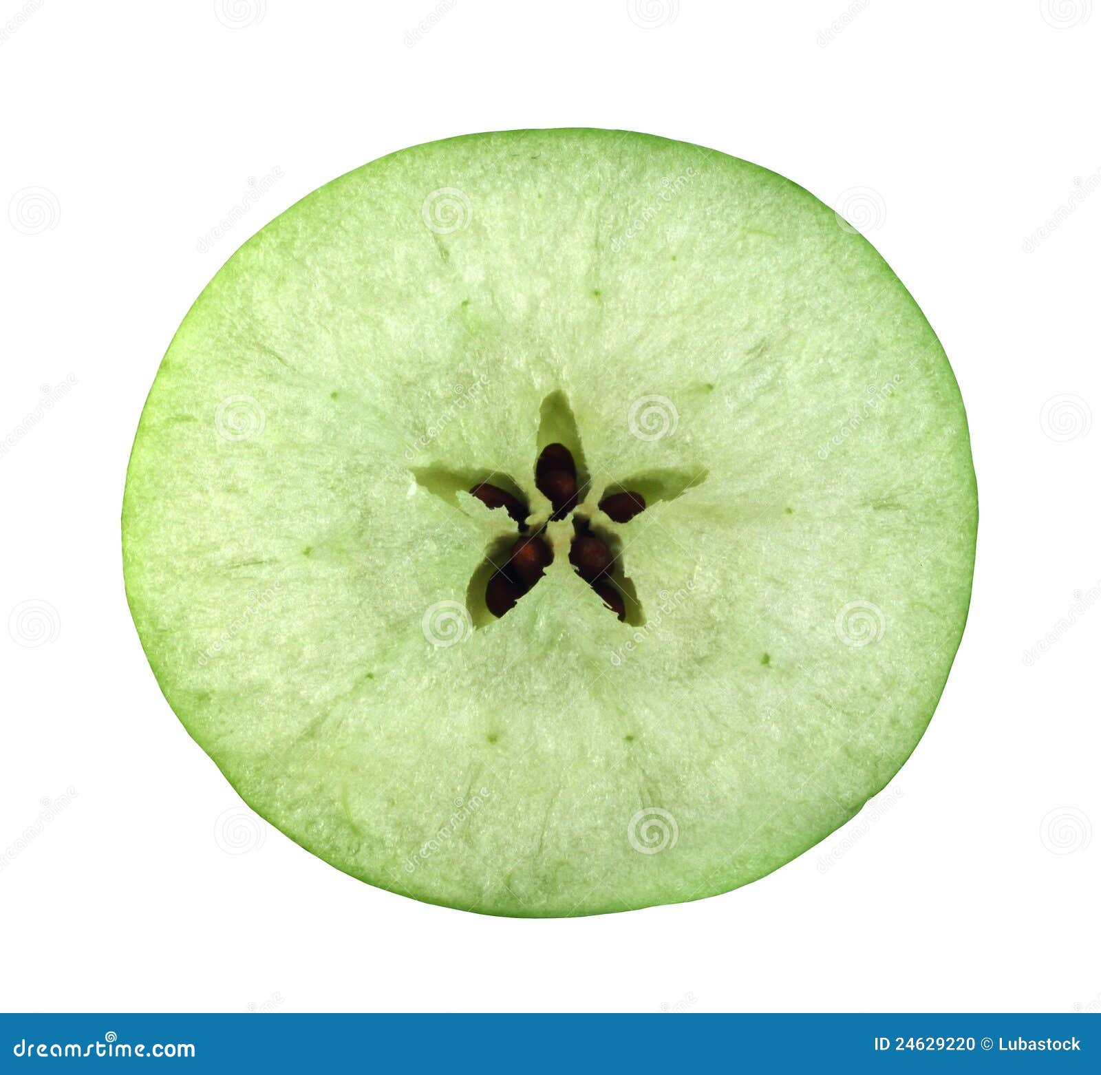 Cross Section Diagram Of An Apple