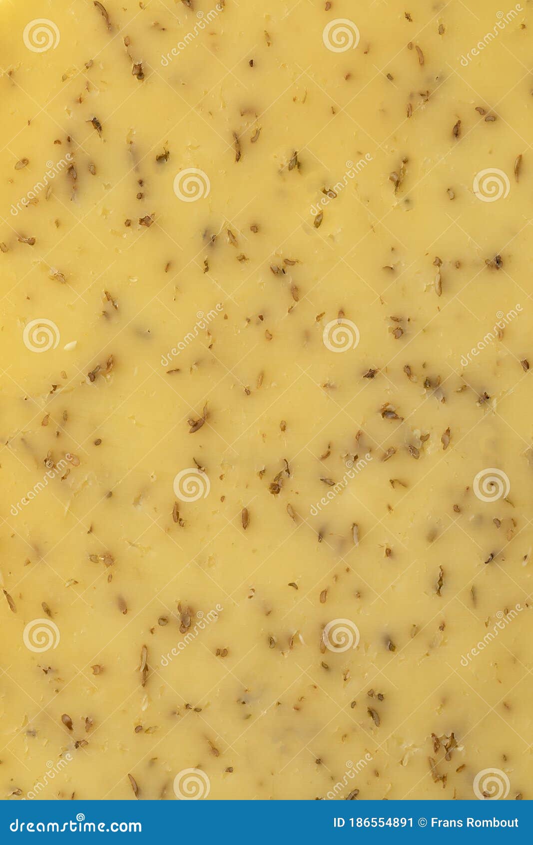 Slice of Dutch Cumin Cheese Close Up Stock Image - Image of herbs ...