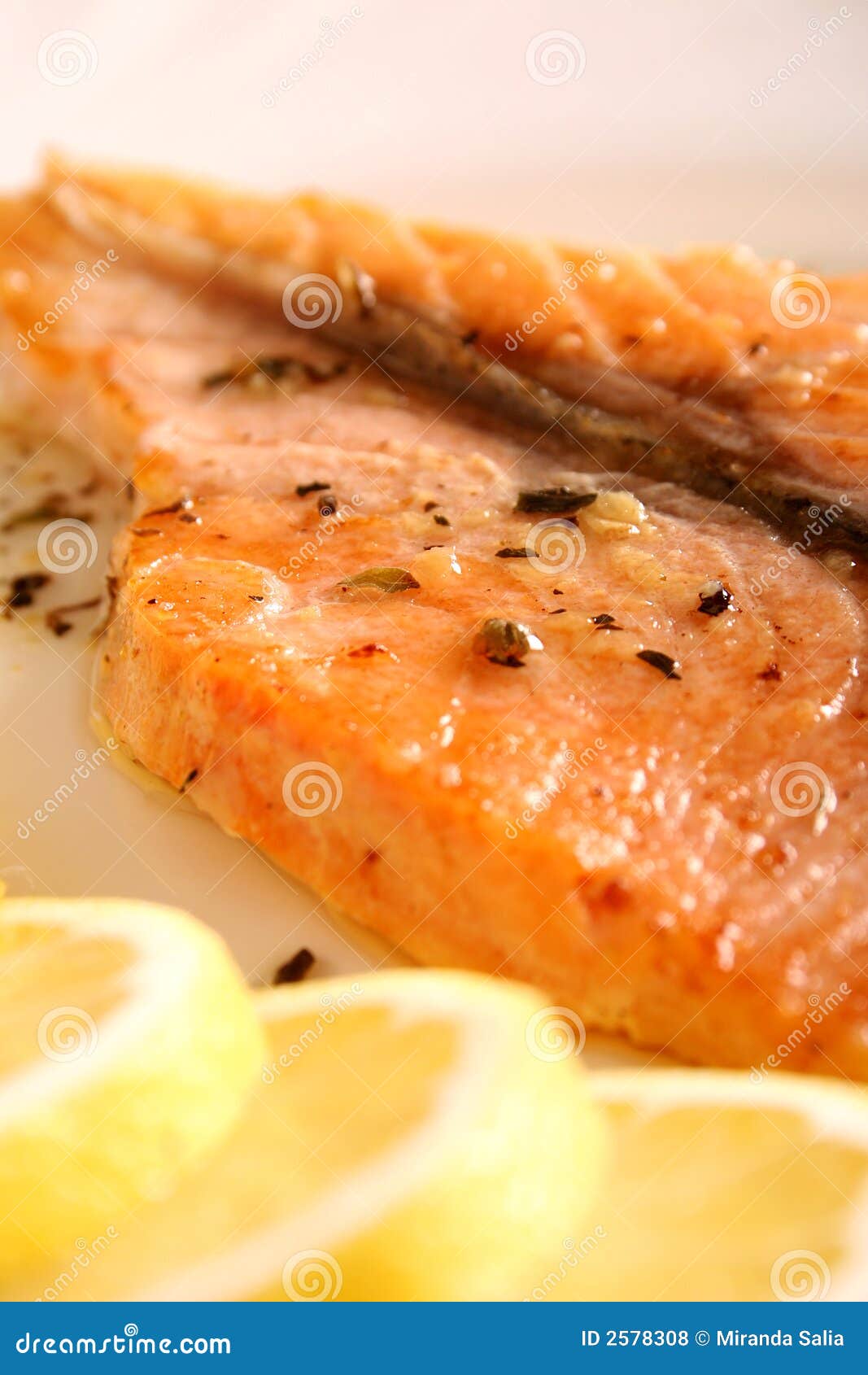 A slice of fish 02 stock photo. Image of plate, salmon - 2578308