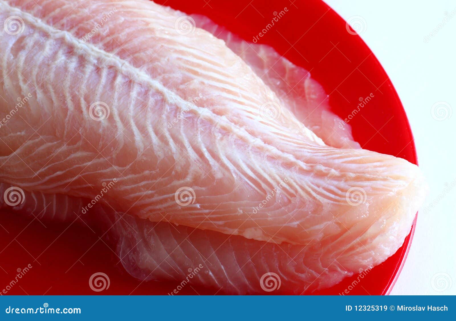 Slice of fish stock image. Image of juicy, cross, cookery - 12325319