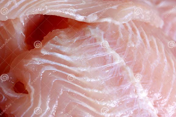 Slice of fish stock photo. Image of macro, cookery, delicious - 12325354