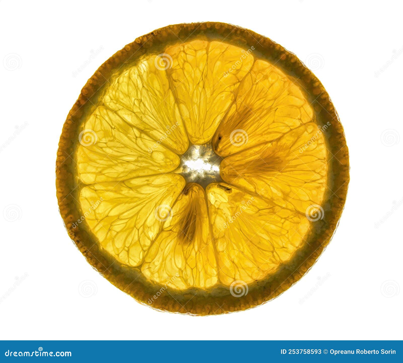 Slice of a Fresh Orange with Back Lit Stock Image - Image of closeup ...