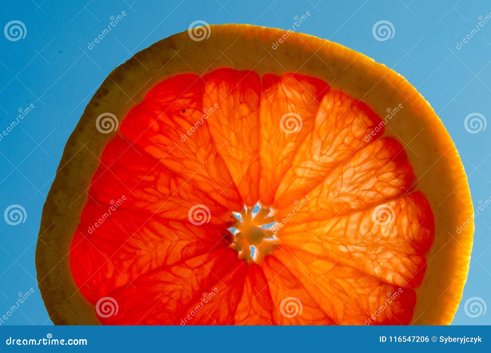 A Slice of Grapefruit, Citrus in the Sun Stock Photo - Image of orange ...