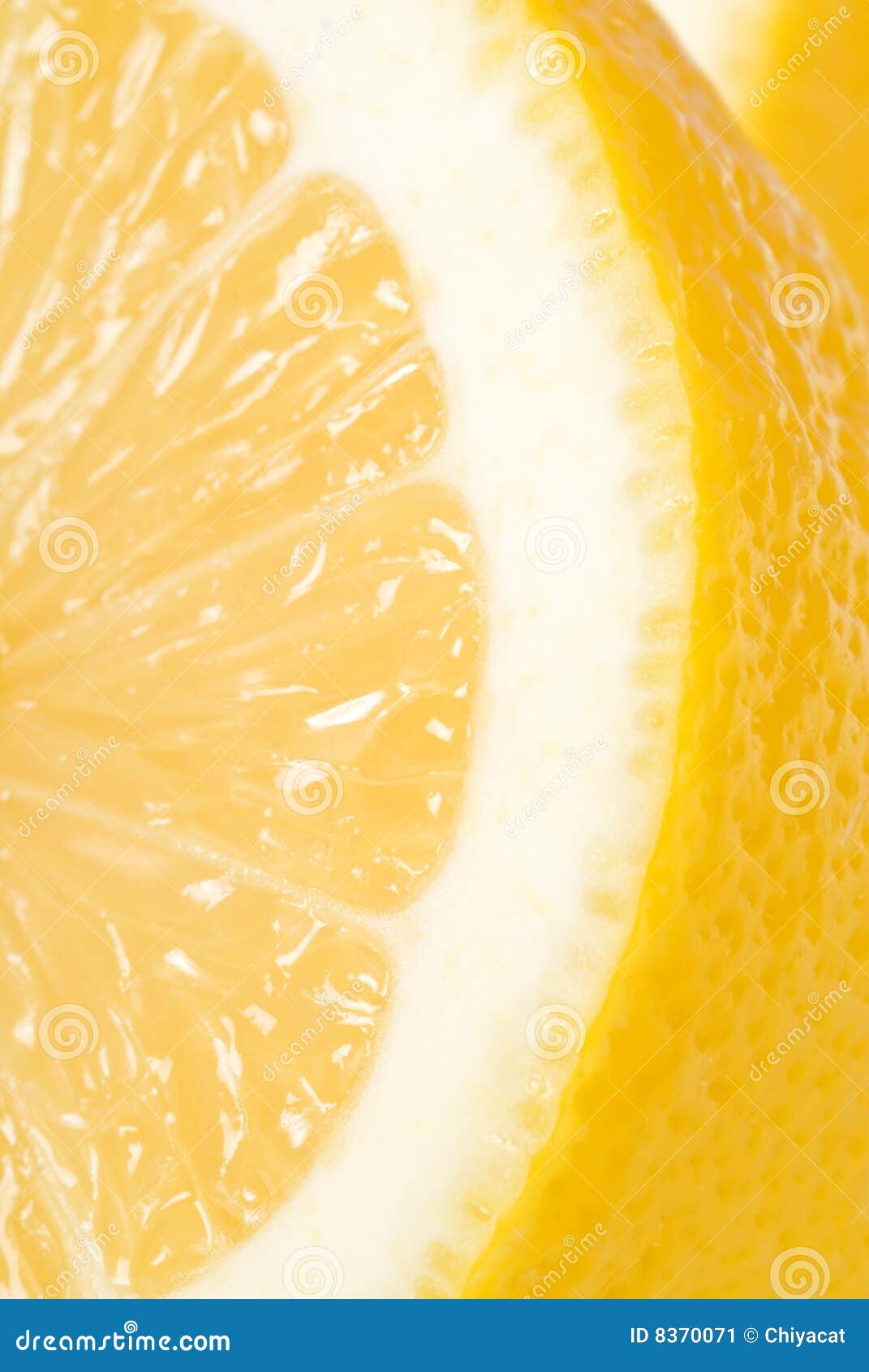 Slice of Lemon Closeup stock image. Image of fruit, seed - 8370071