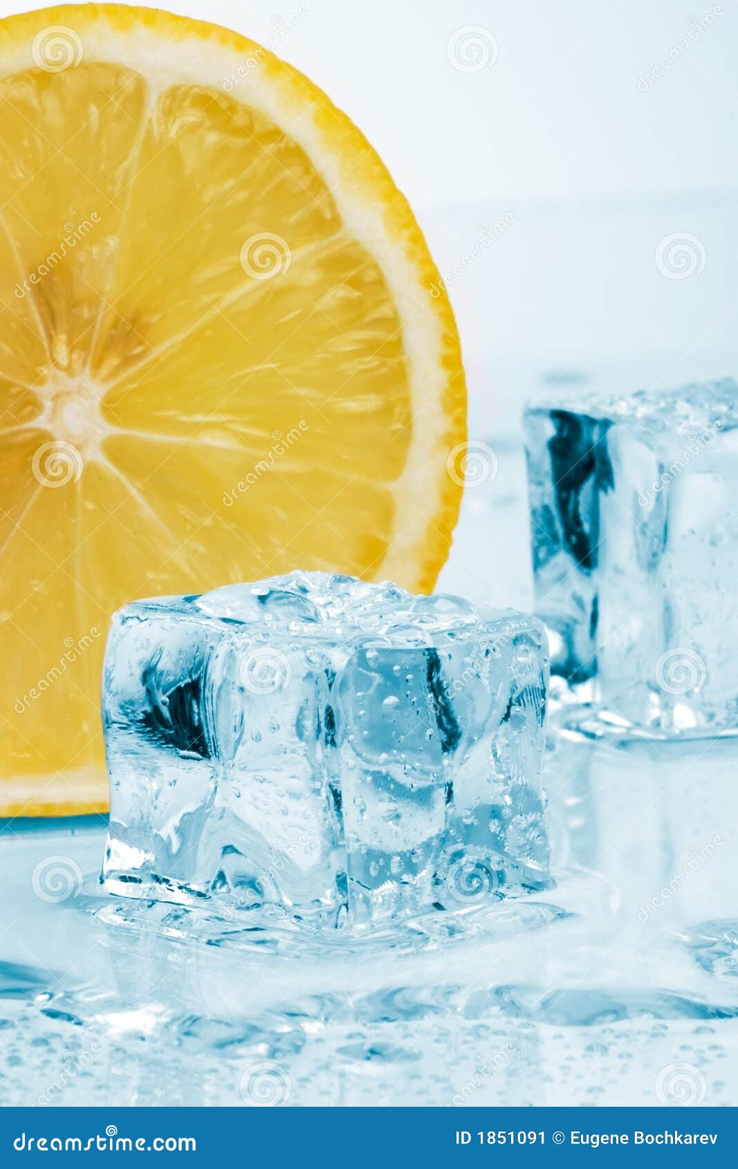 Slice of Lemon and Ice Cubes Stock Image - Image of isolated, melt: 1851091
