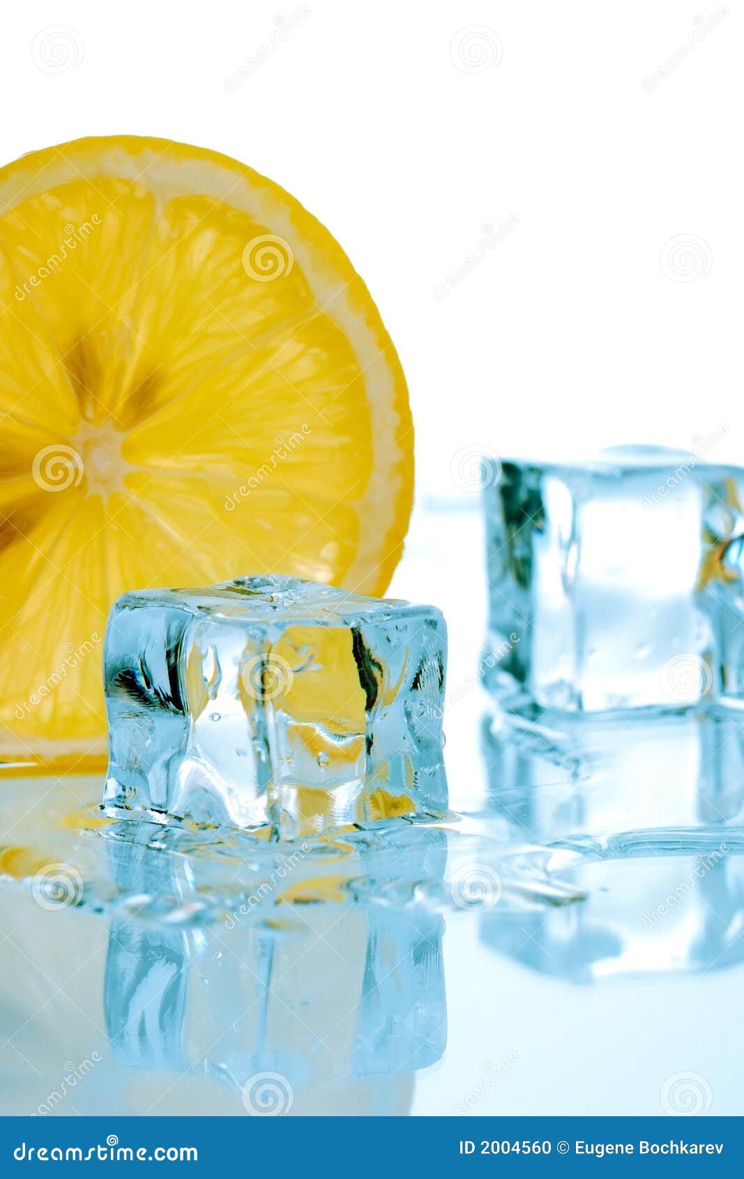 Slice of Lemon and Ice Cubes Stock Photo - Image of lemon, melting: 2004560