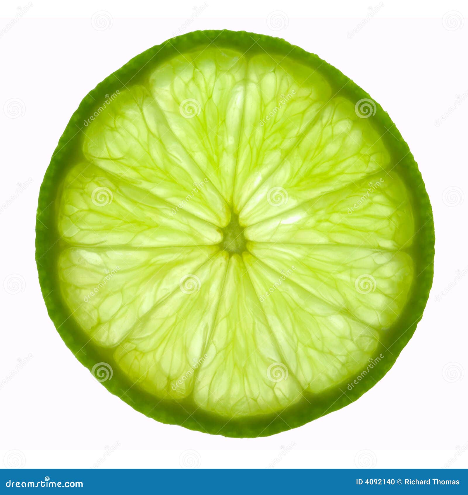 Slice of lime stock photo. Image of lime, zing, juicy - 4092140