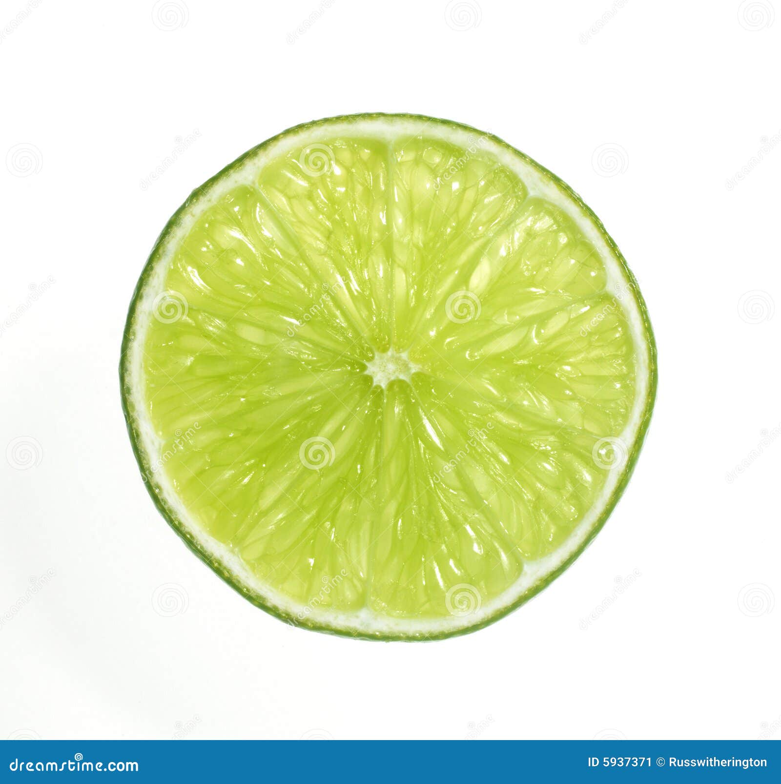 Slice of Lime stock image. Image of fruit, fresh, citrus - 5937371