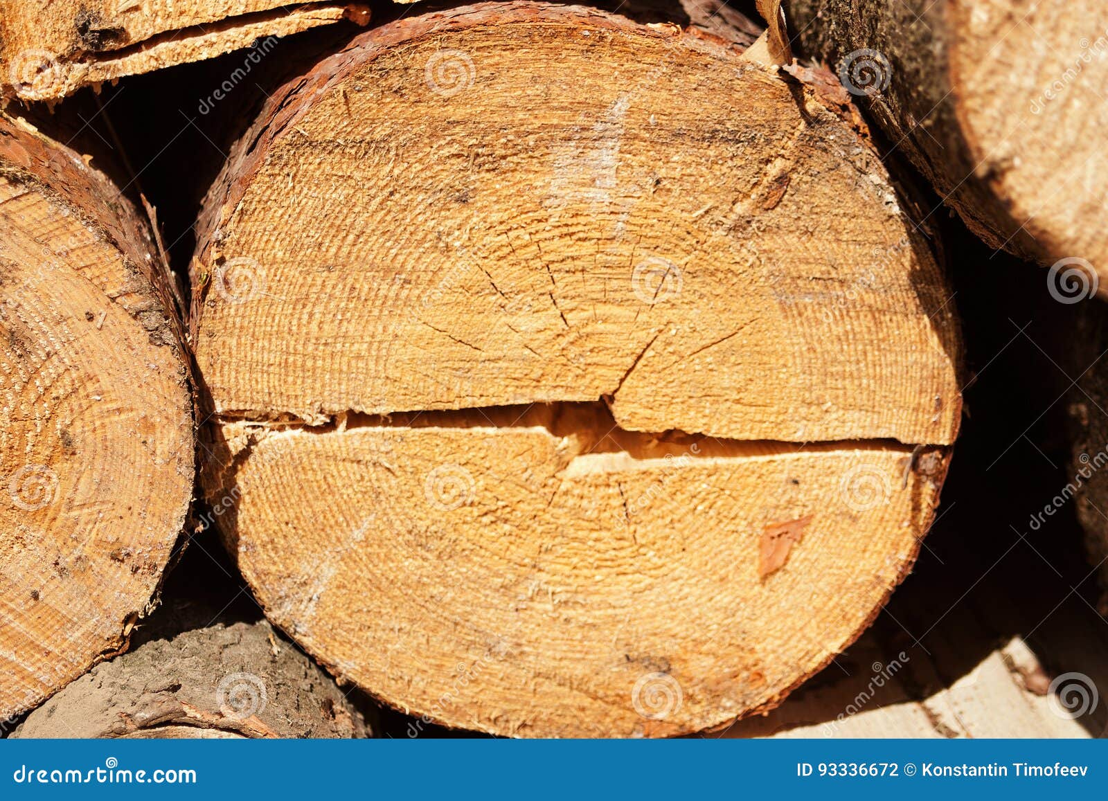 Slice the Log with a Horizontal Crack. Stock Photo - Image of spills ...
