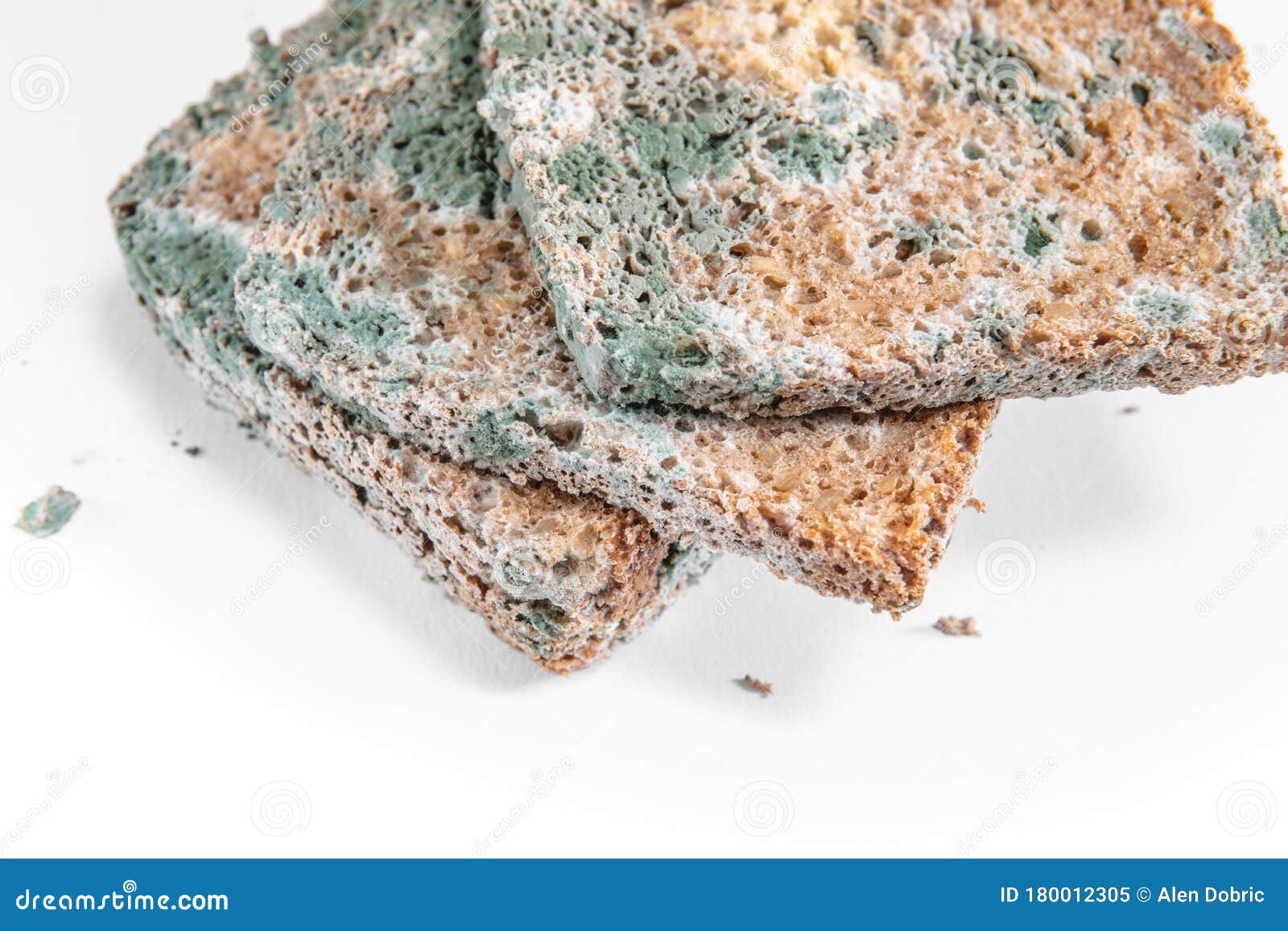 Slice of Moldy Bread, Rotten and Uneatable. Studio Shot Stock Image ...