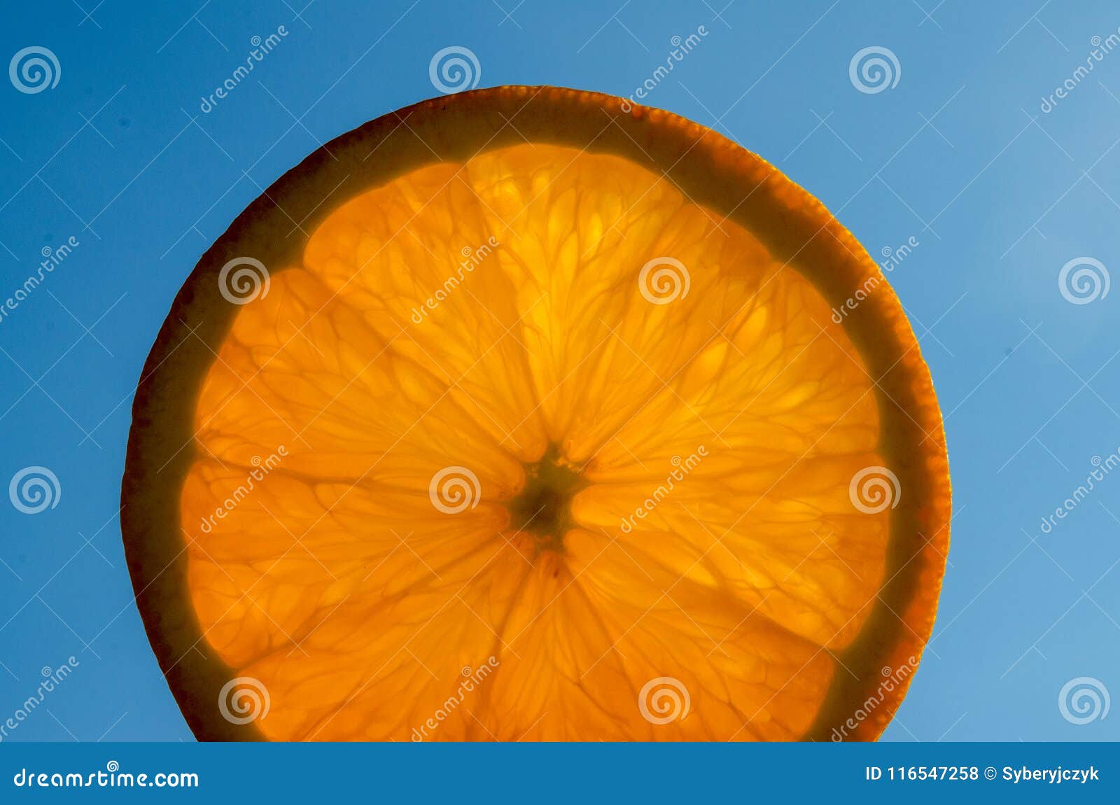 A Slice of Orange, Citrus in the Sun Stock Photo - Image of freshness ...