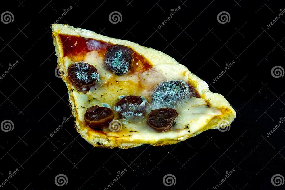 Slice of Pizza that Rots Creating White Mold on the Surface Stock Photo ...
