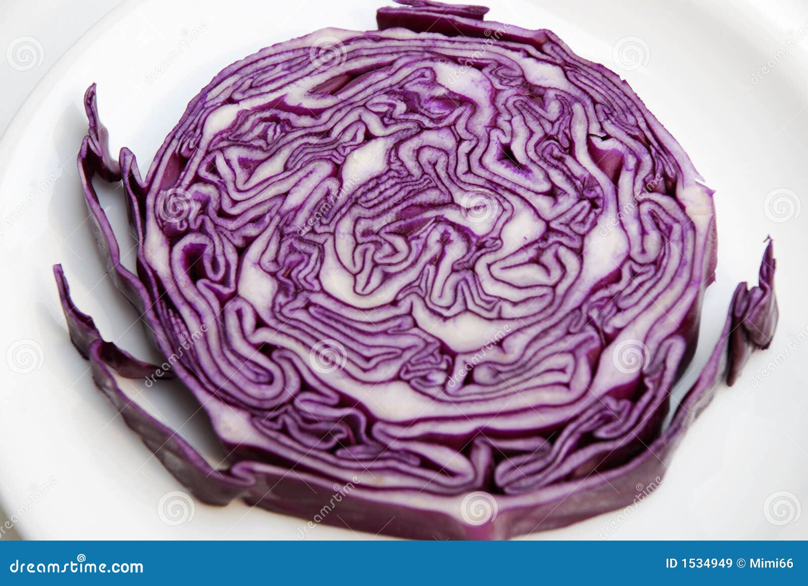 Slice of red cabbage stock image. Image of uncooked, fresh - 1534949