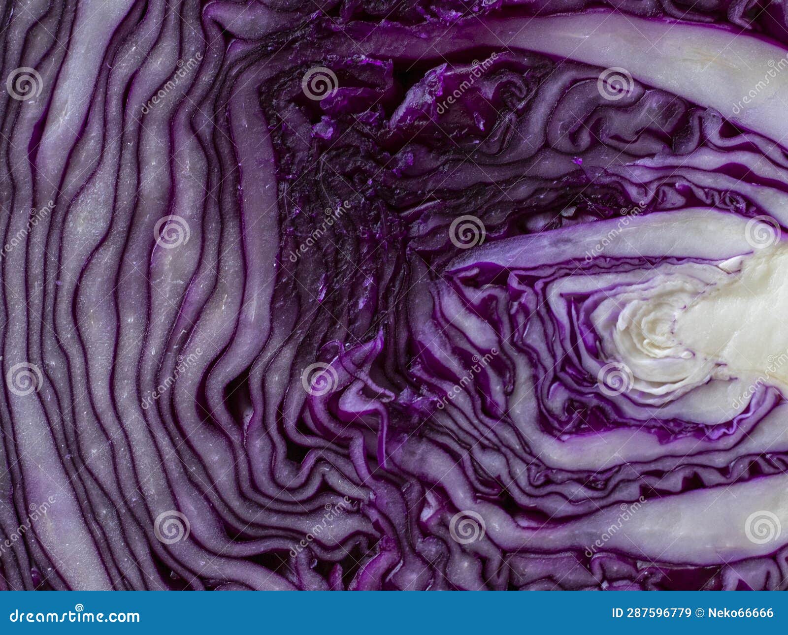 A Slice of Red Cabbage in Close-up. Stock Image - Image of diet ...