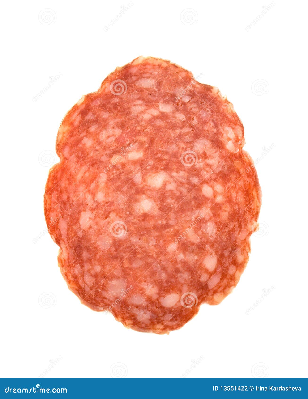 Slice of sausage stock photo. Image of gourmet, beef - 13551422