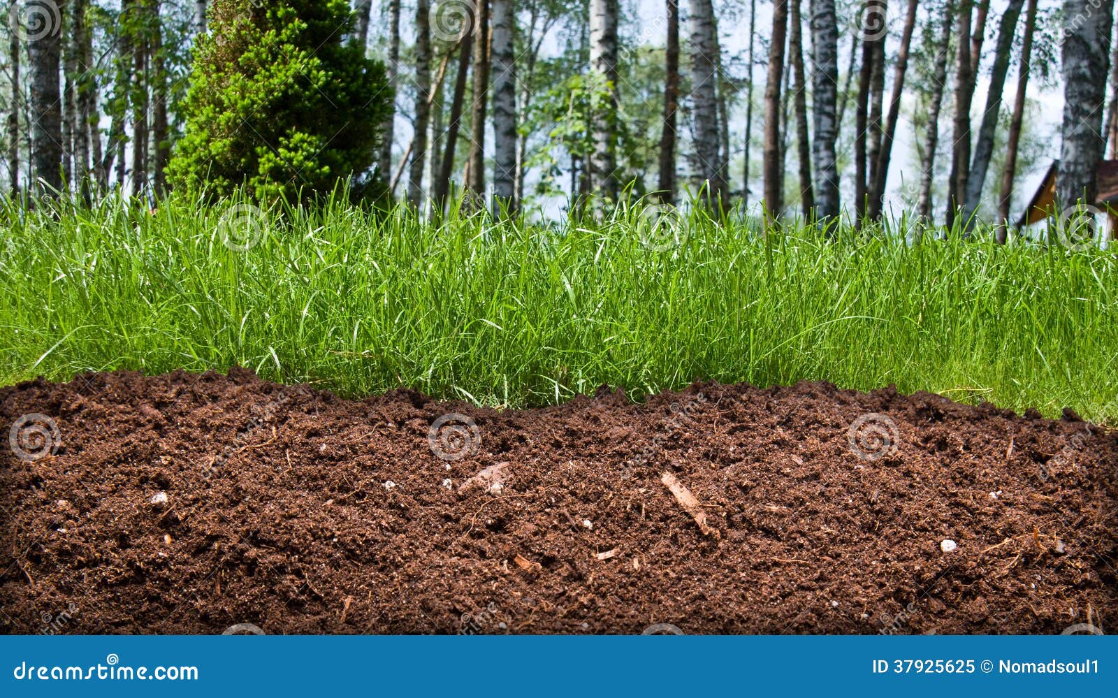Slice of the soil stock image. Image of forest, gardening - 37925625
