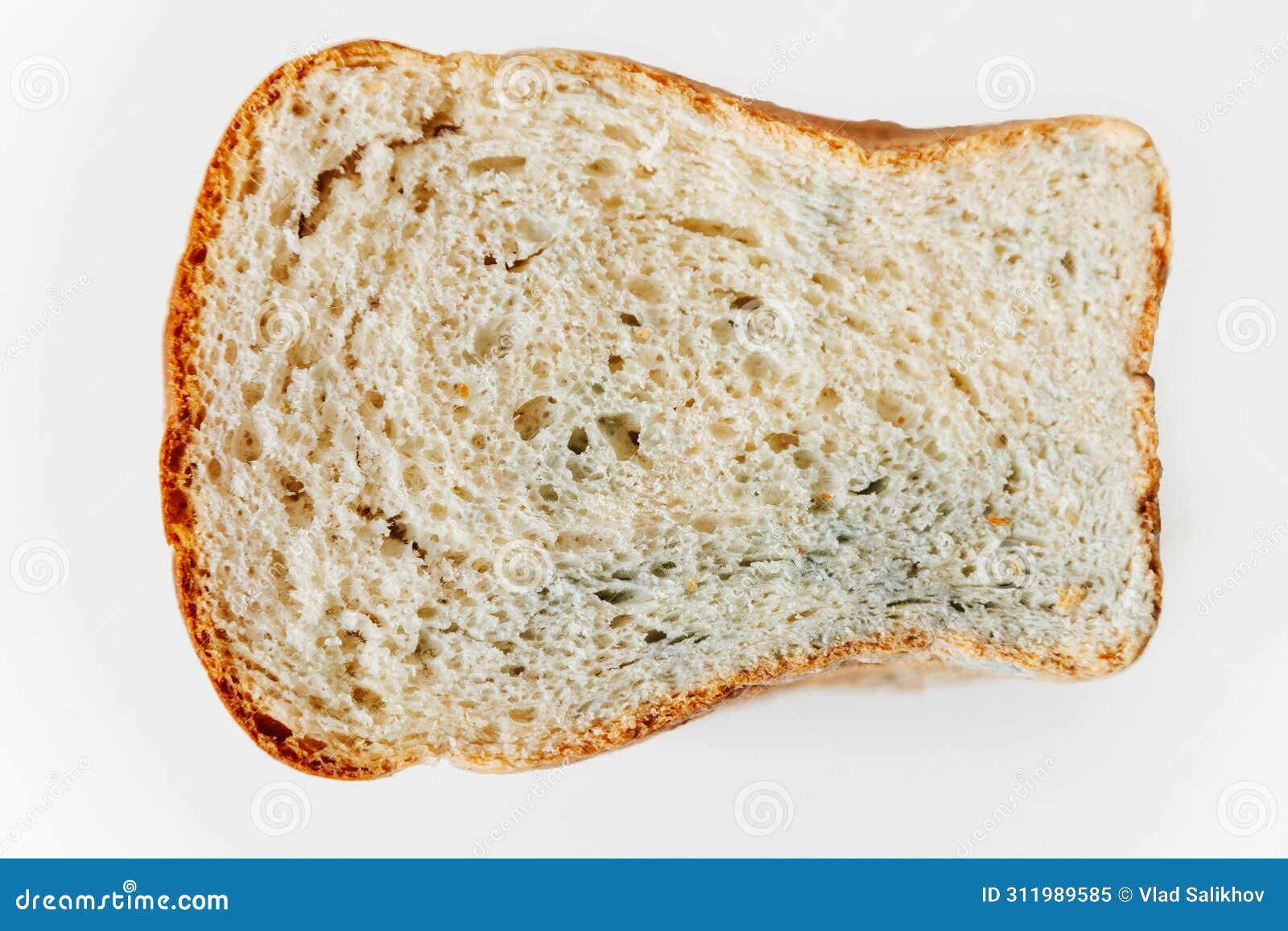 Slice of Spoiled Wheat Bread with Mold Isolated on a White Background ...