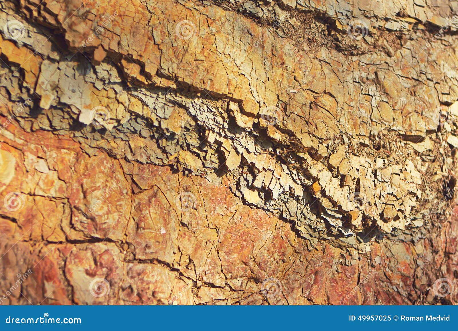 A Slice Of Sedimentary Rocks Of Carboniferous Clay And Limestone ...