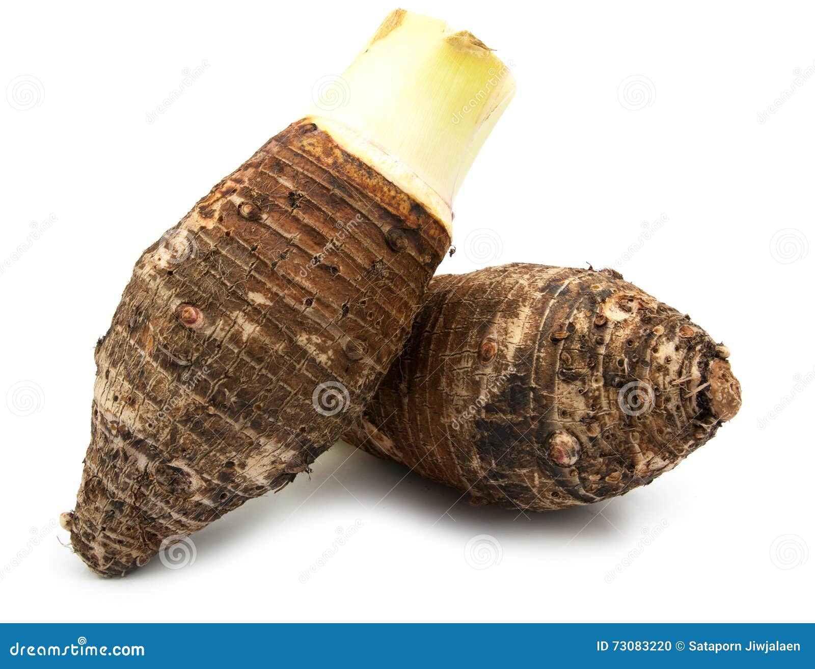 Slice of taro isolated stock photo. Image of food, closeup - 73083220