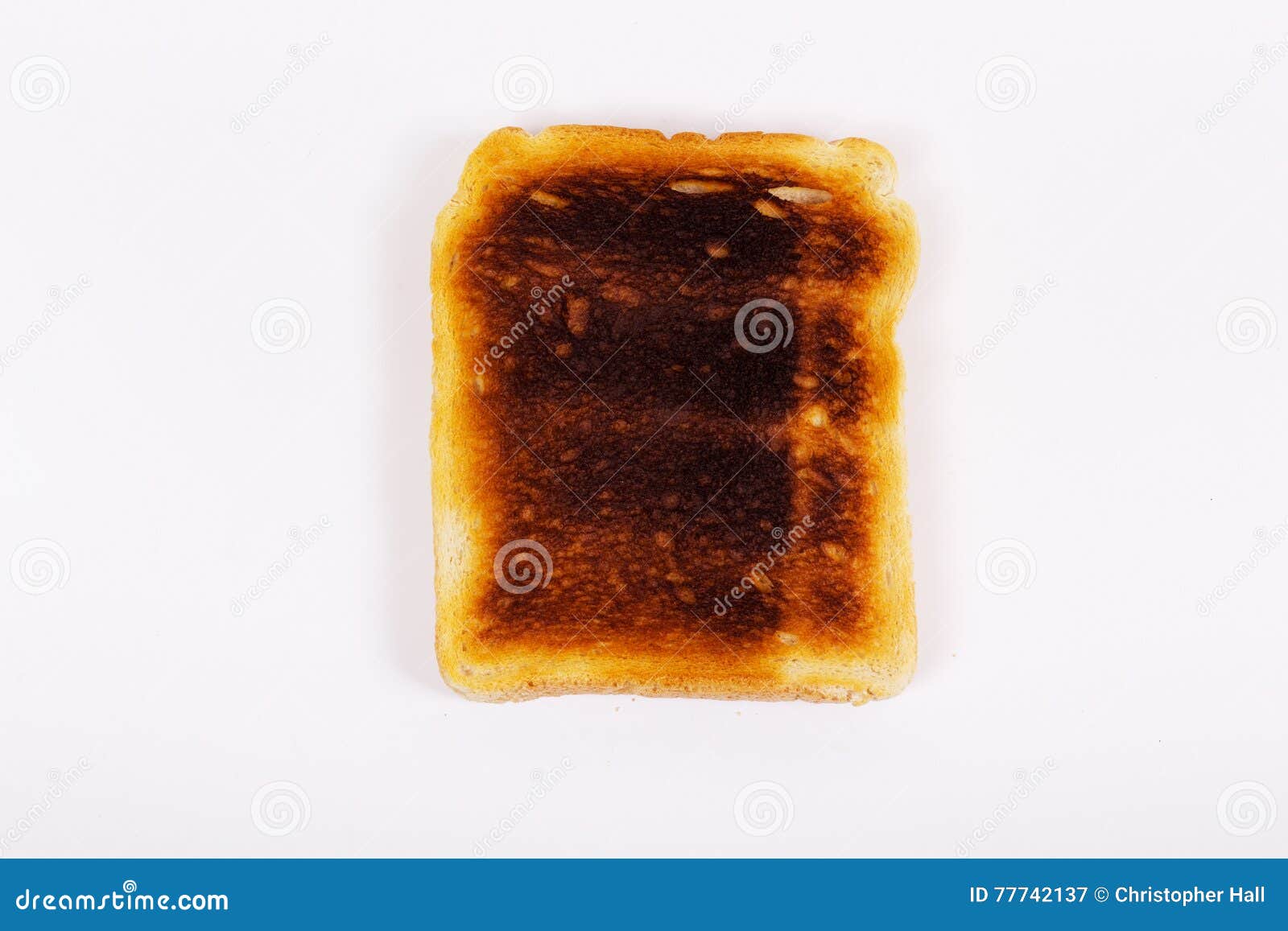 Slice of Toast on a White Background Stock Image - Image of snack ...