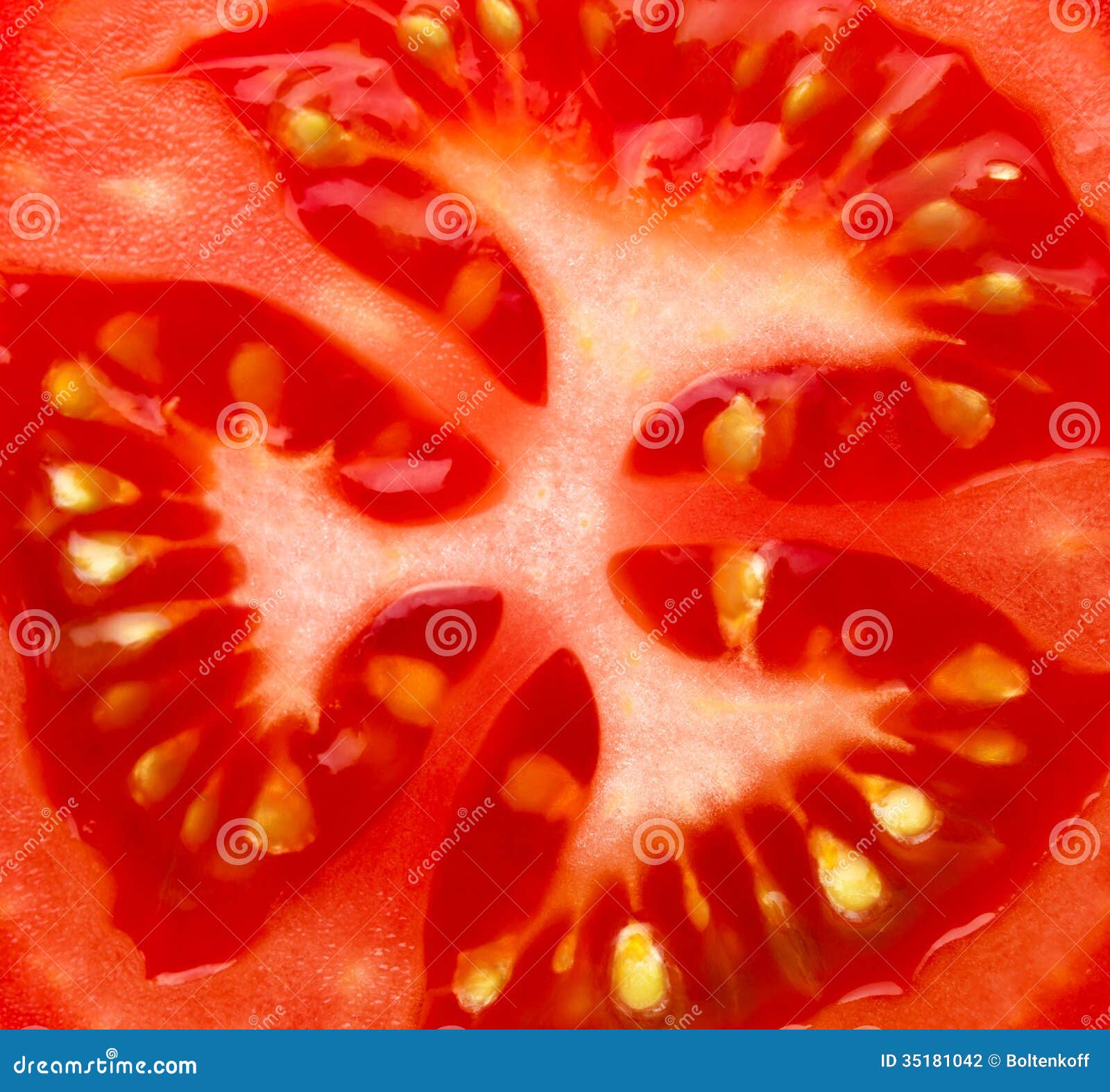 Slice of tomato stock photo. Image of fresh, chop, healthy - 35181042