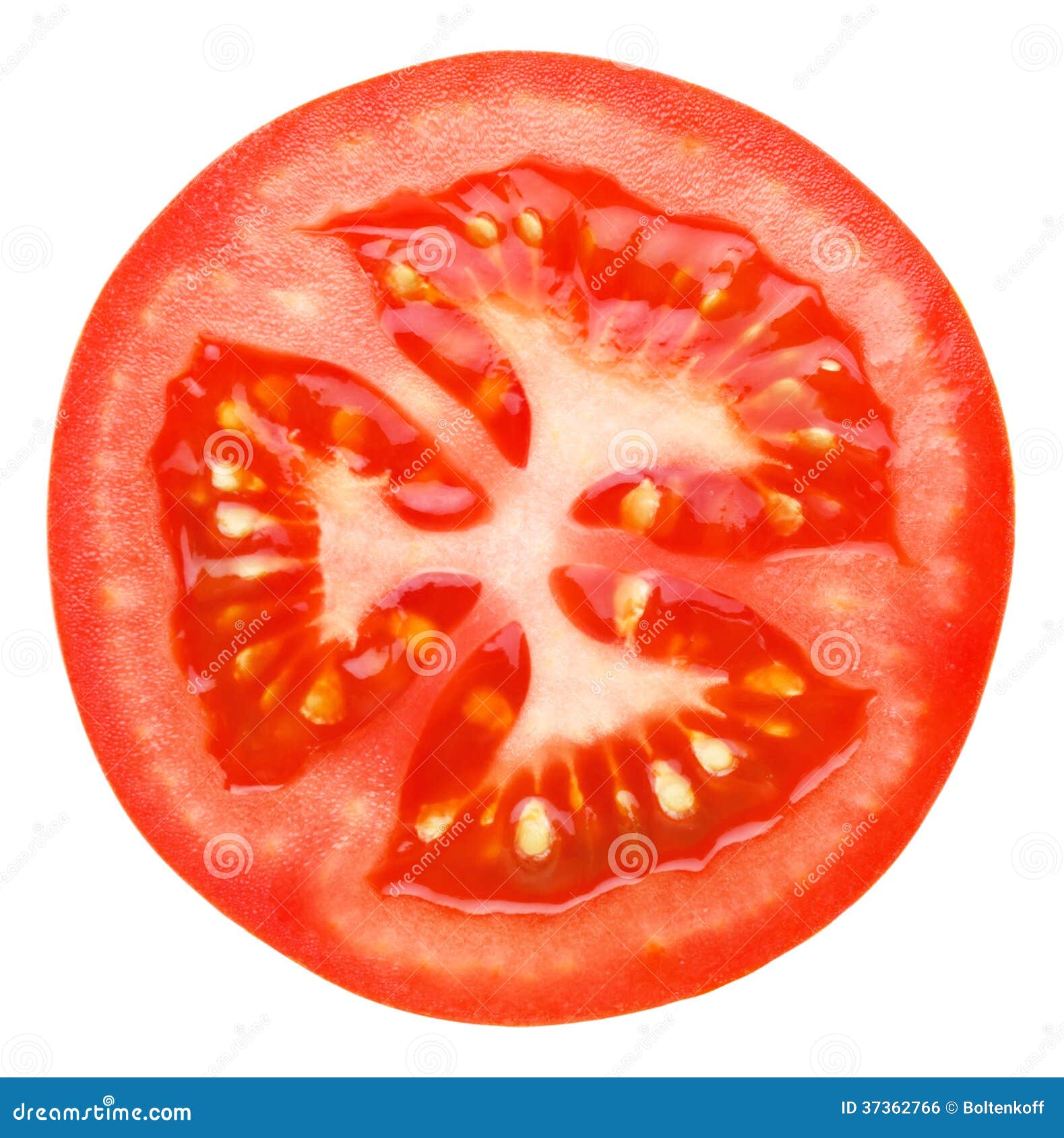 Slice of tomato stock photo. Image of slice, closeup - 37362766