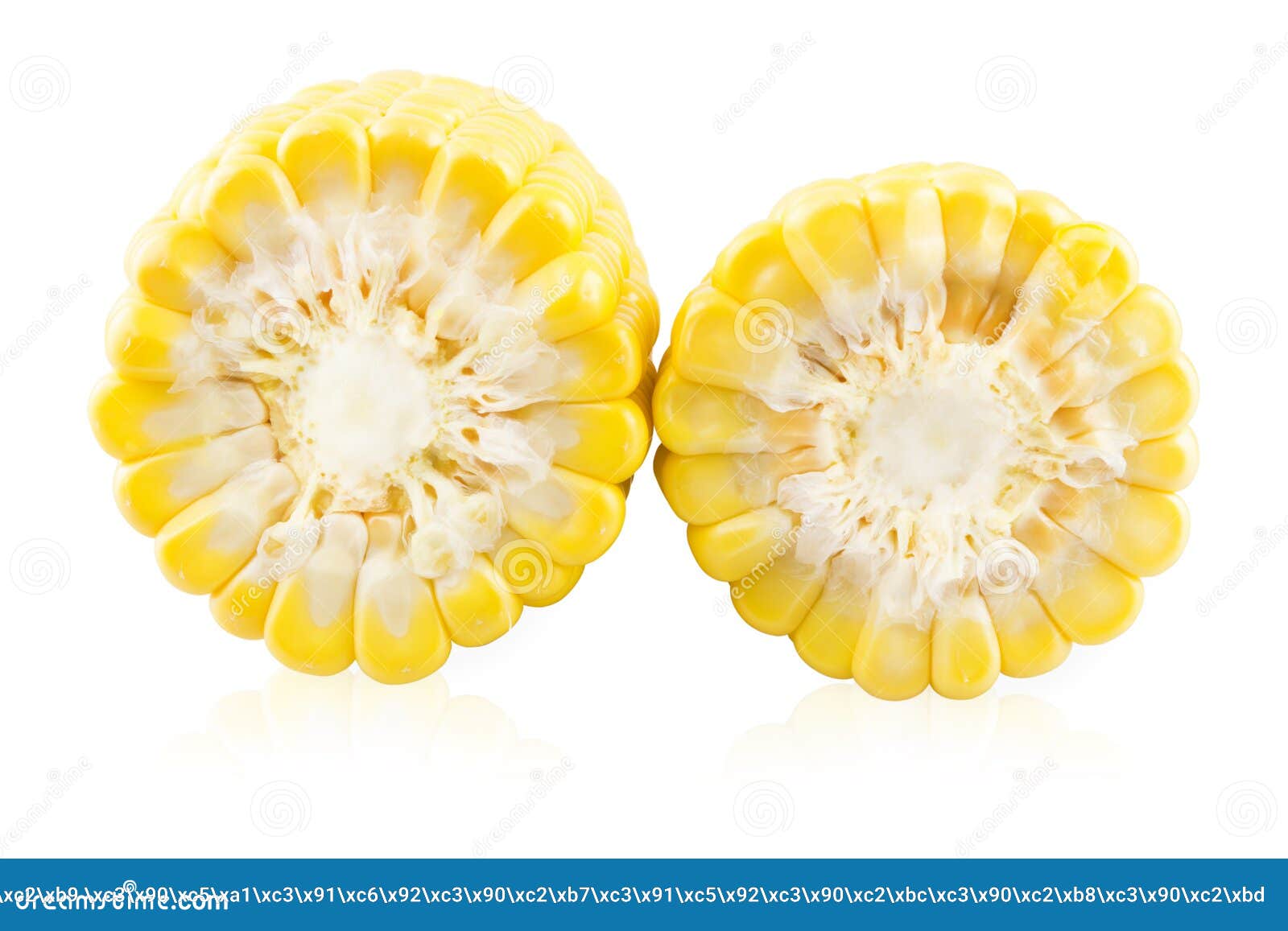Slice two ears of corn stock photo. Image of cereal, food - 52164508