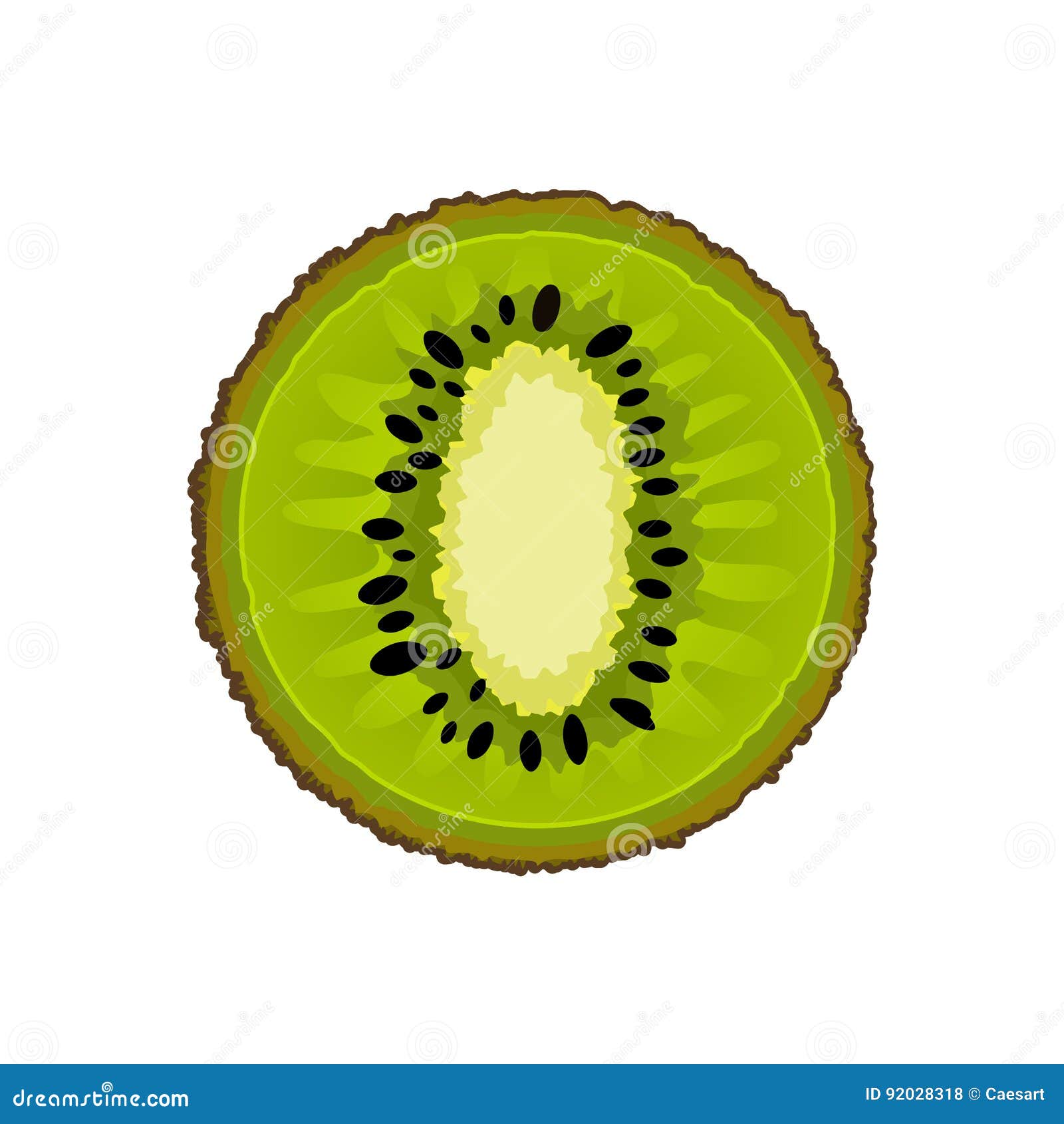 Slice Vector Kiwi Icon Isolated on White for Food Art Stock Vector ...