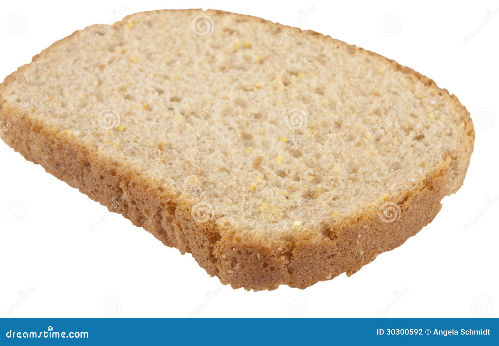 Whole Wheat Bread Slice stock photo. Image of food, bread - 30300592