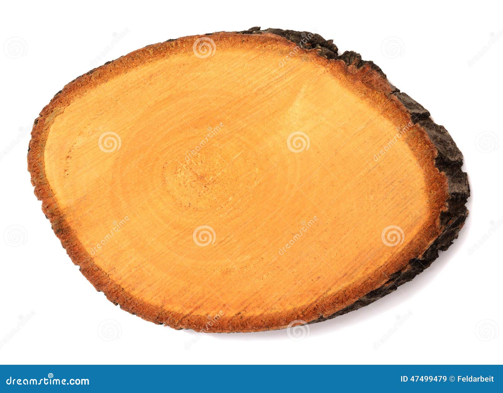 Slice of wood stock image. Image of structure, texture - 47499479