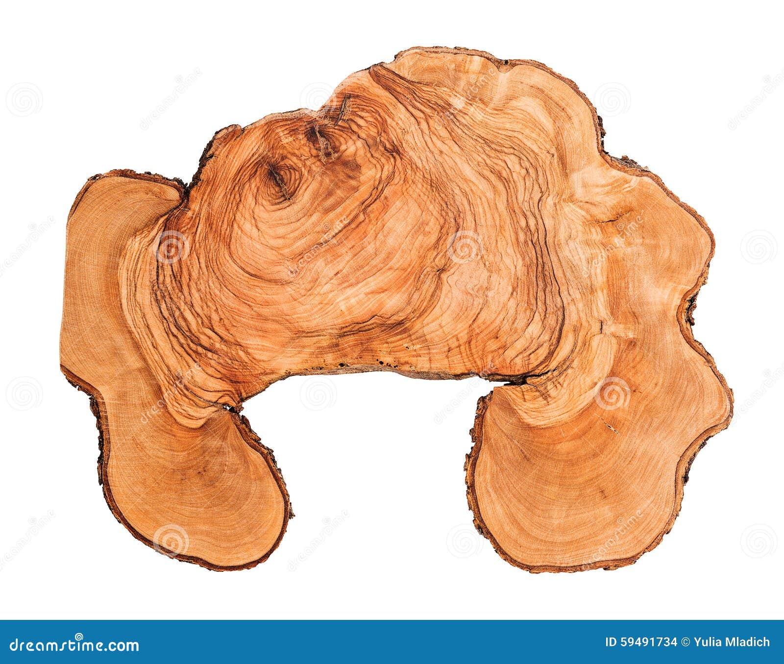 Slice of Wood, Old Olive Tree Stock Photo - Image of ring, years: 59491734