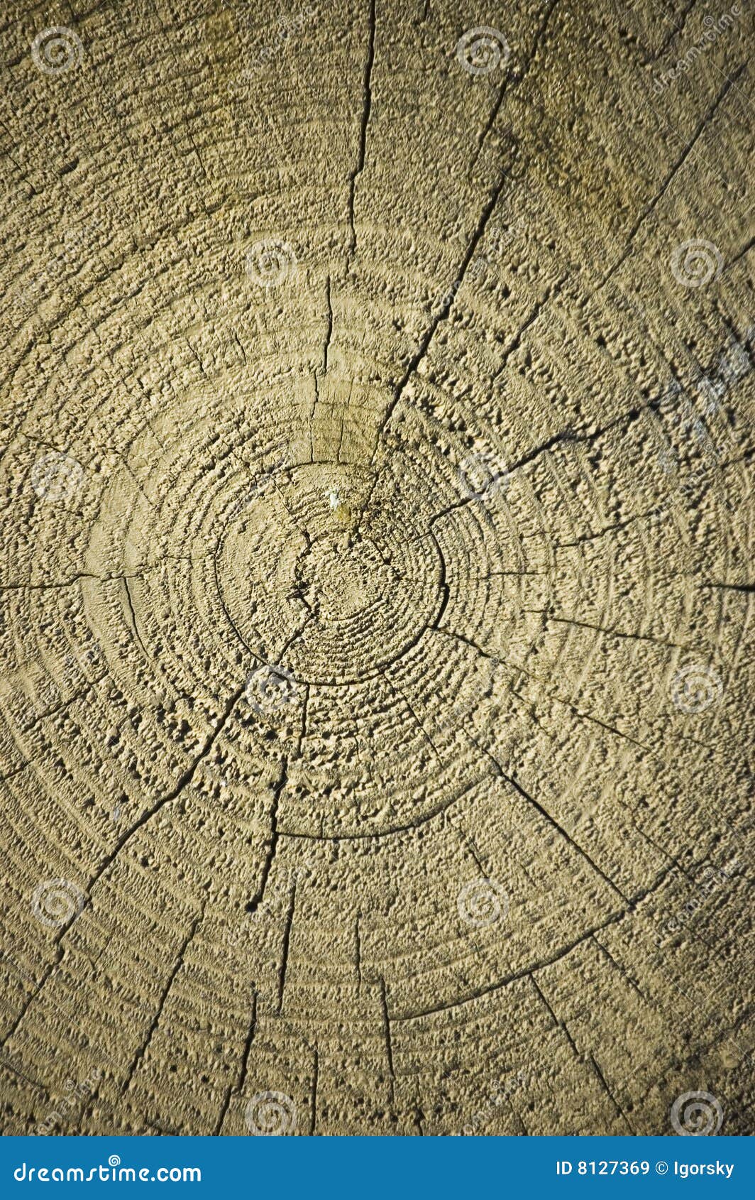 Wood Timber Construction Material For Background And Texture. Wood Logs ...