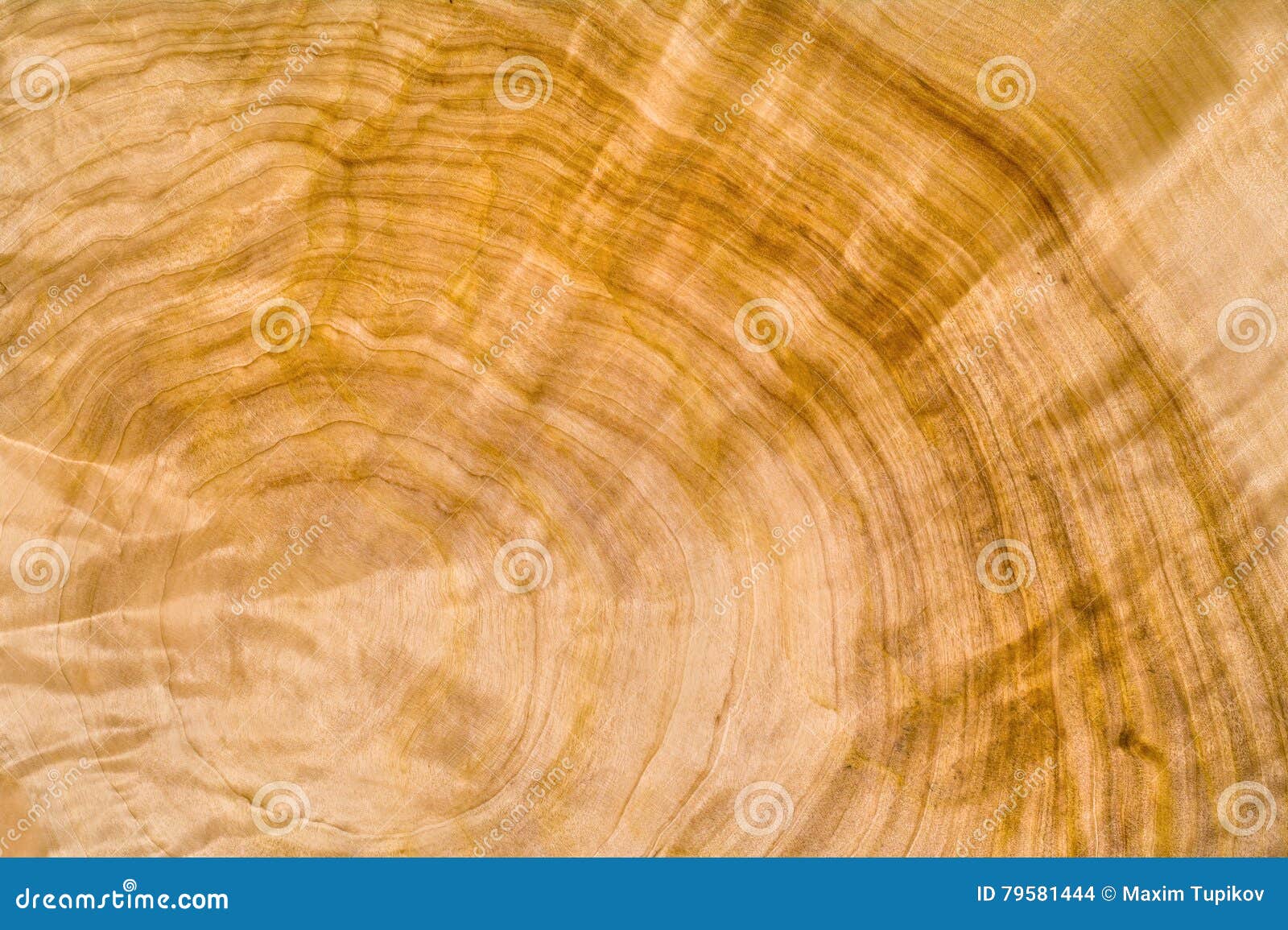 Timber Ridges And Knots With Spectacular Pattern Stock Photography ...