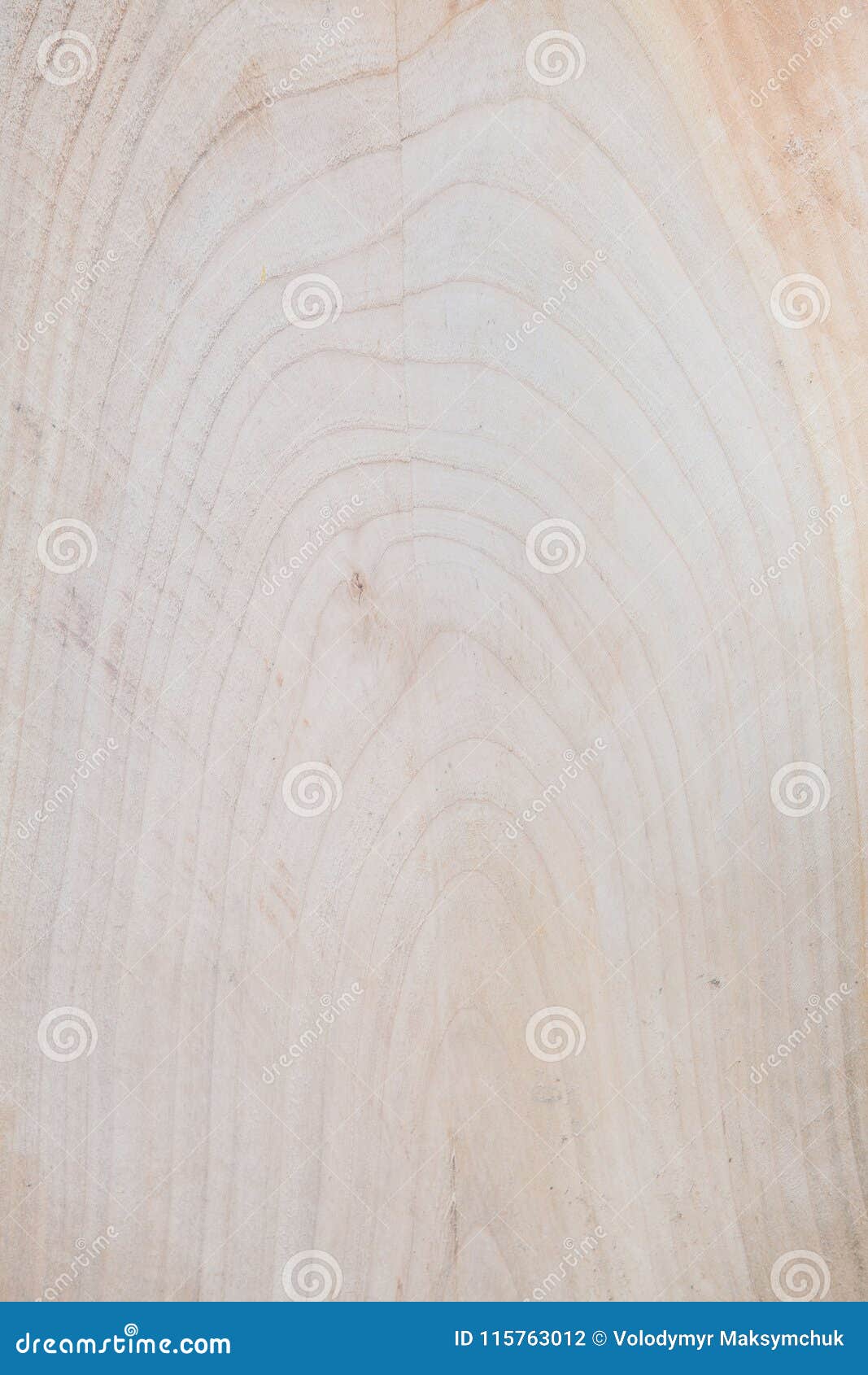 Slice of Wood Timber Natural Background Stock Photo - Image of crop ...