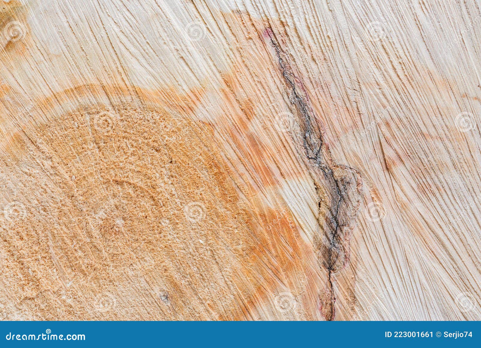 Slice of Wood Timber Background Stock Image - Image of growth, cracks ...