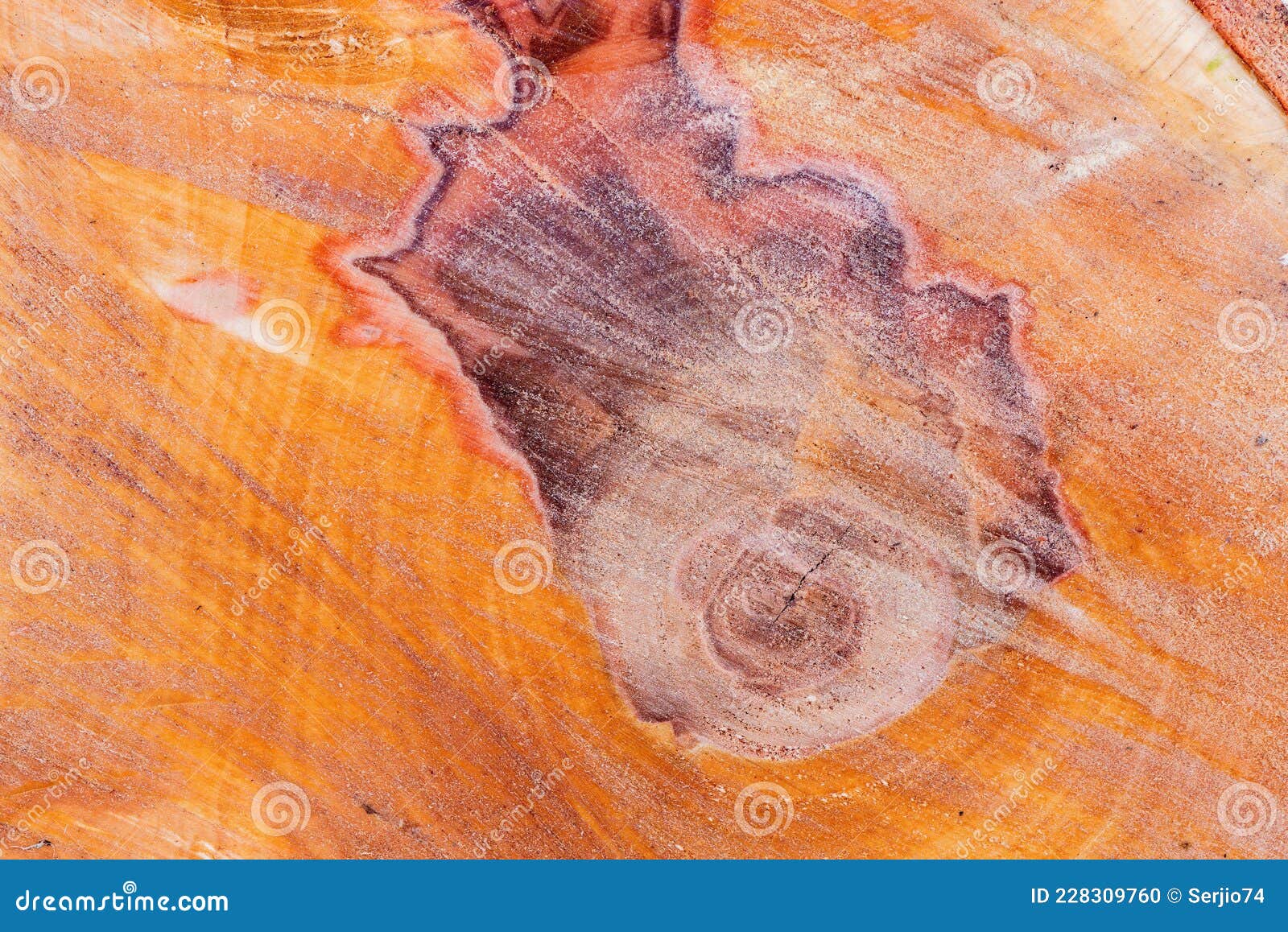 Slice of Wood Timber Background Stock Photo - Image of natural, detail ...