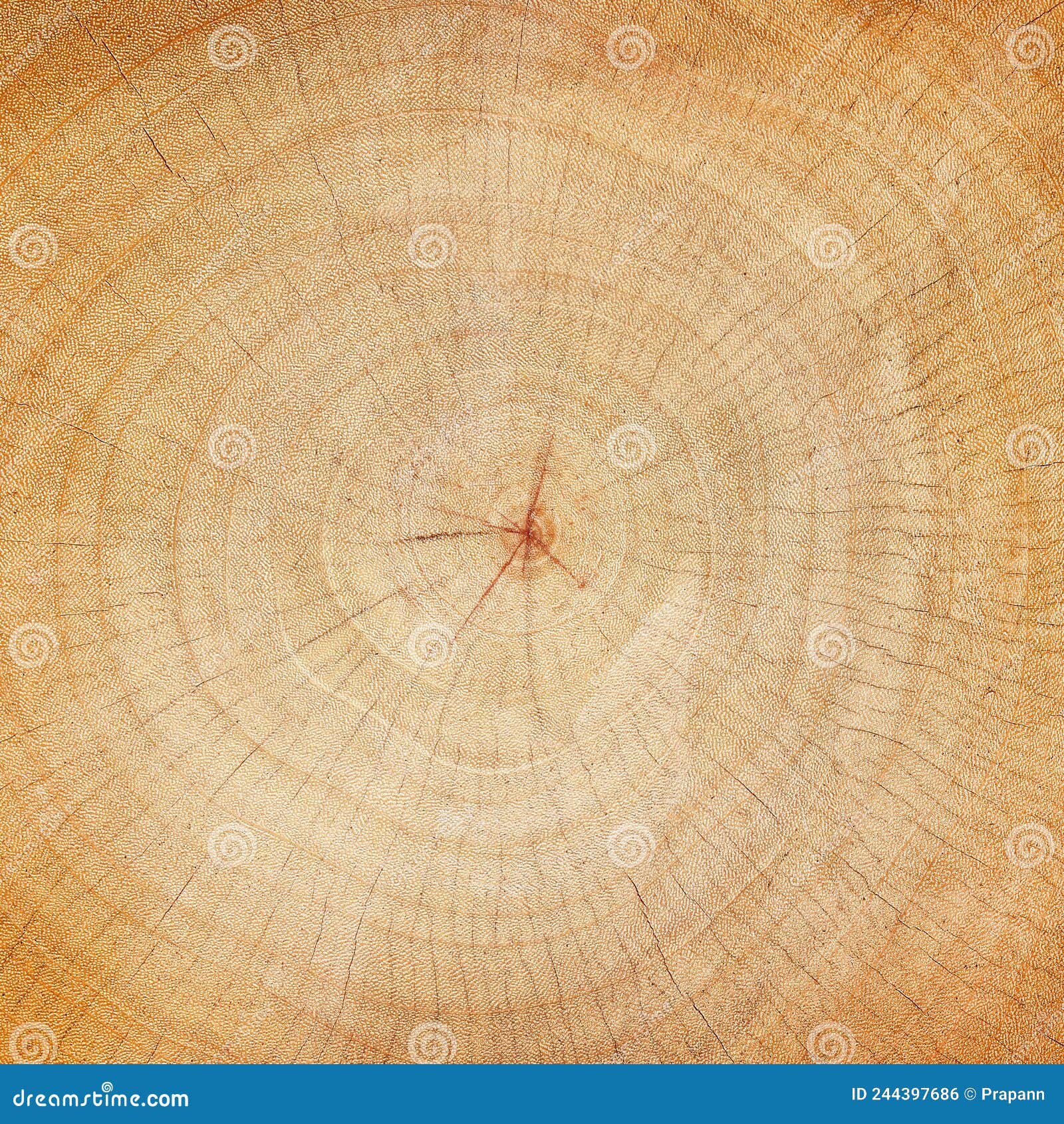 Zoom of Slice of Wood Timber Natural Background Stock Photo - Image of ...
