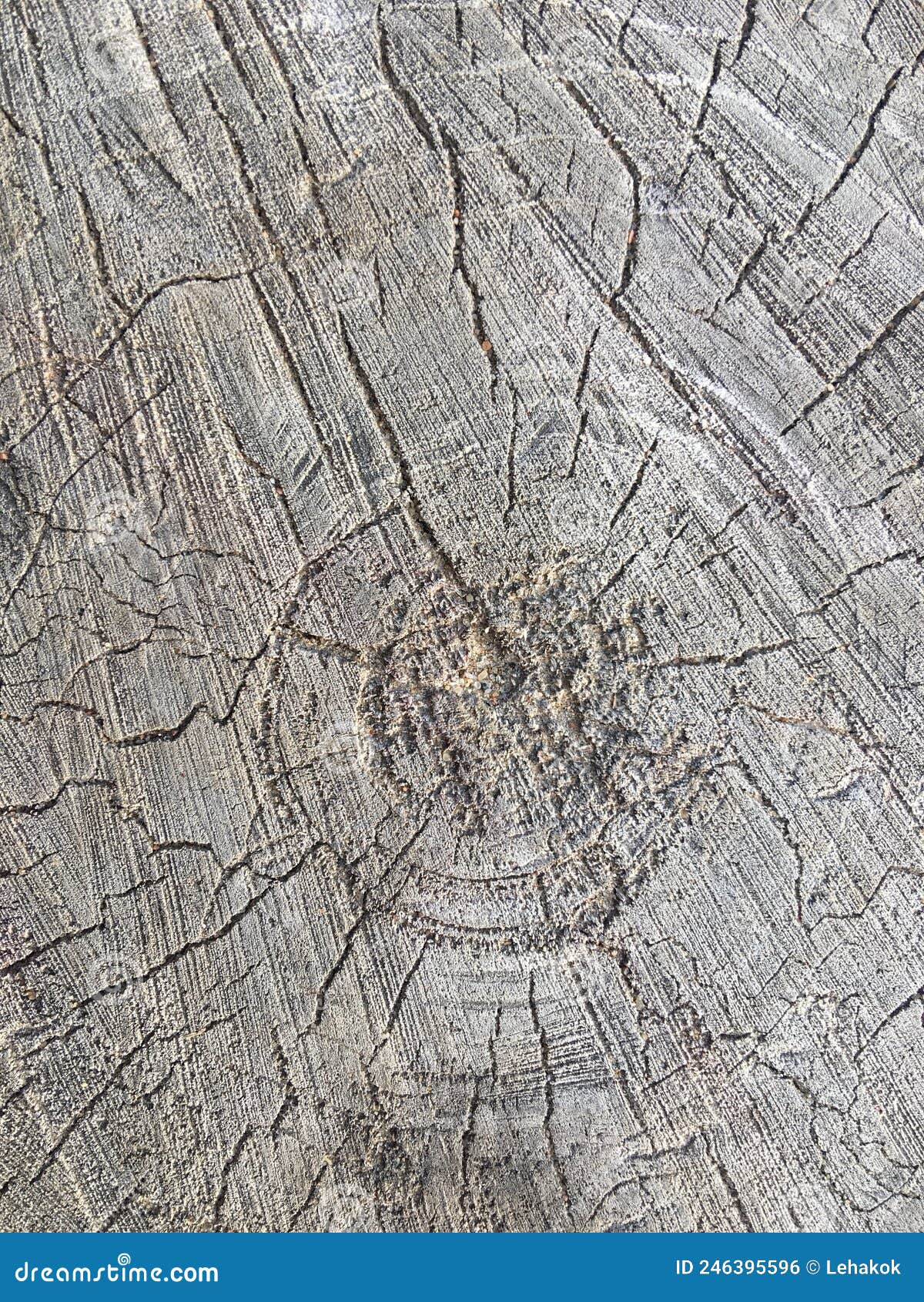 Slice of Wood Timber Natural Background Stock Photo - Image of aged ...