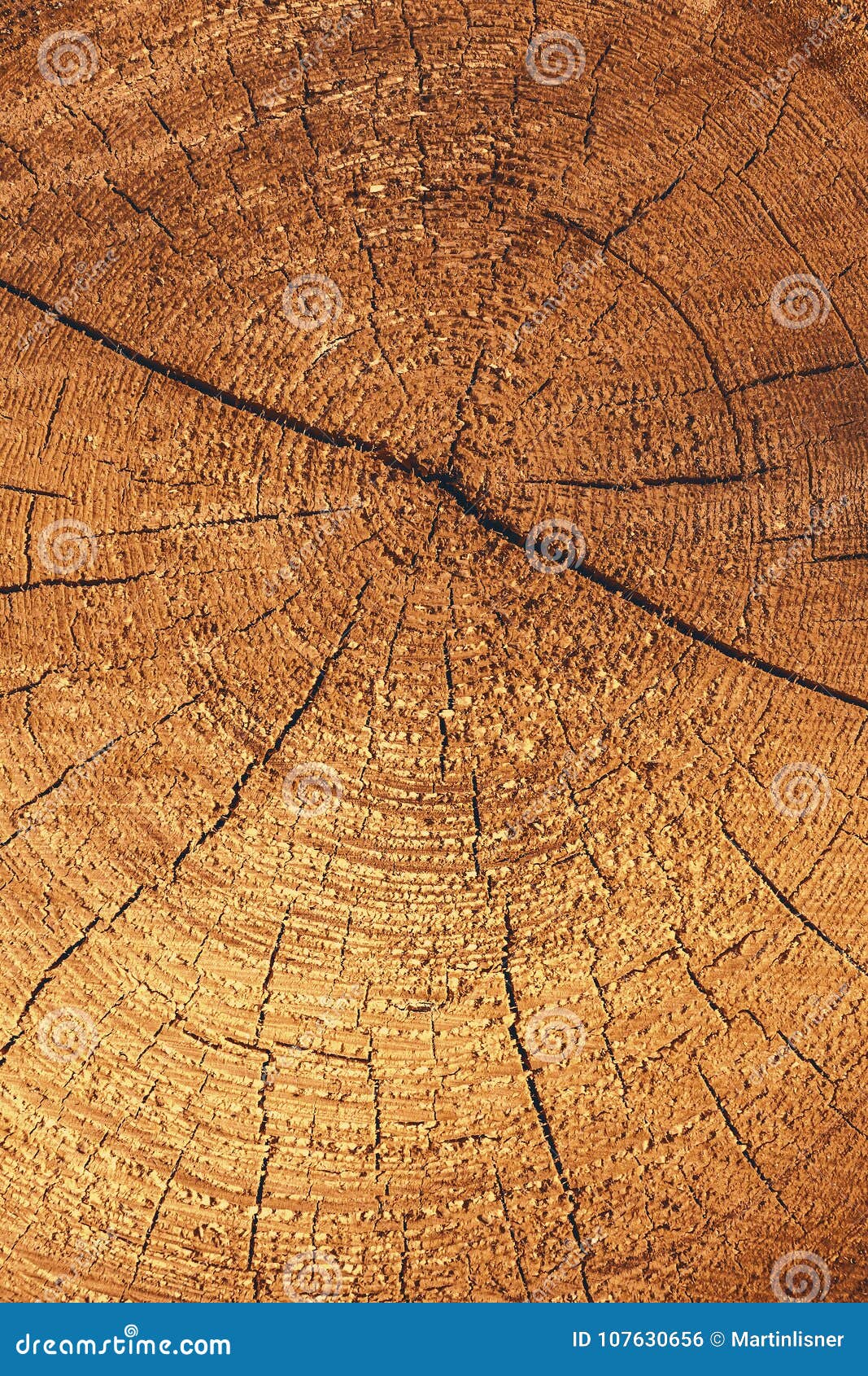 Slice of Wood Timber Natural Background Stock Photo - Image of lumber ...