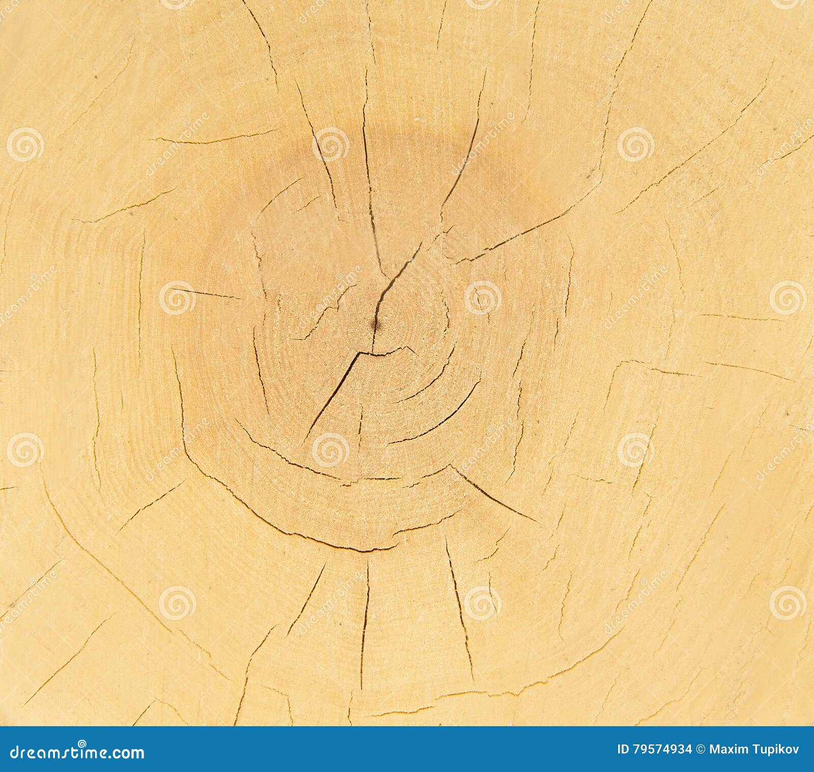 Timber Ridges And Knots With Spectacular Pattern Stock Photography ...