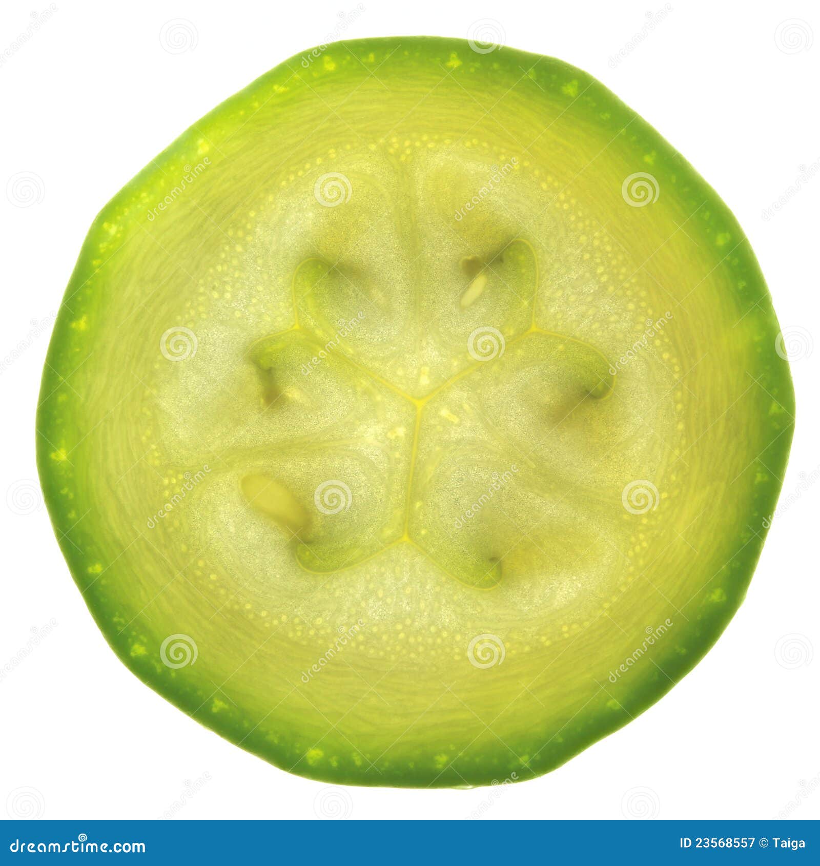 Slice of Zucchini or Courgette Isolated Stock Image - Image of prepare ...