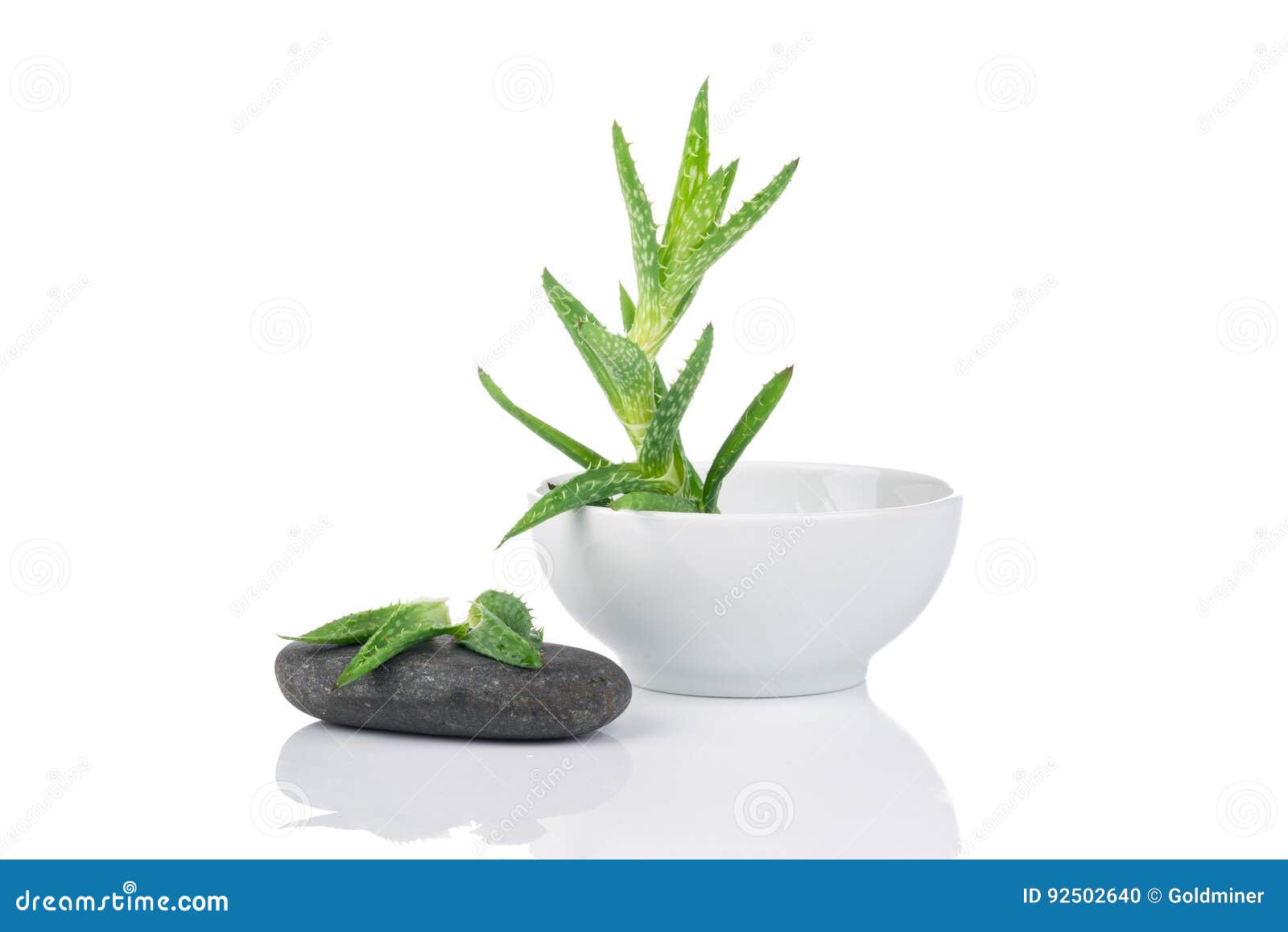 Sliced Aloe Leaves and Spa Stones Stock Photo - Image of aloe, pharmacy ...