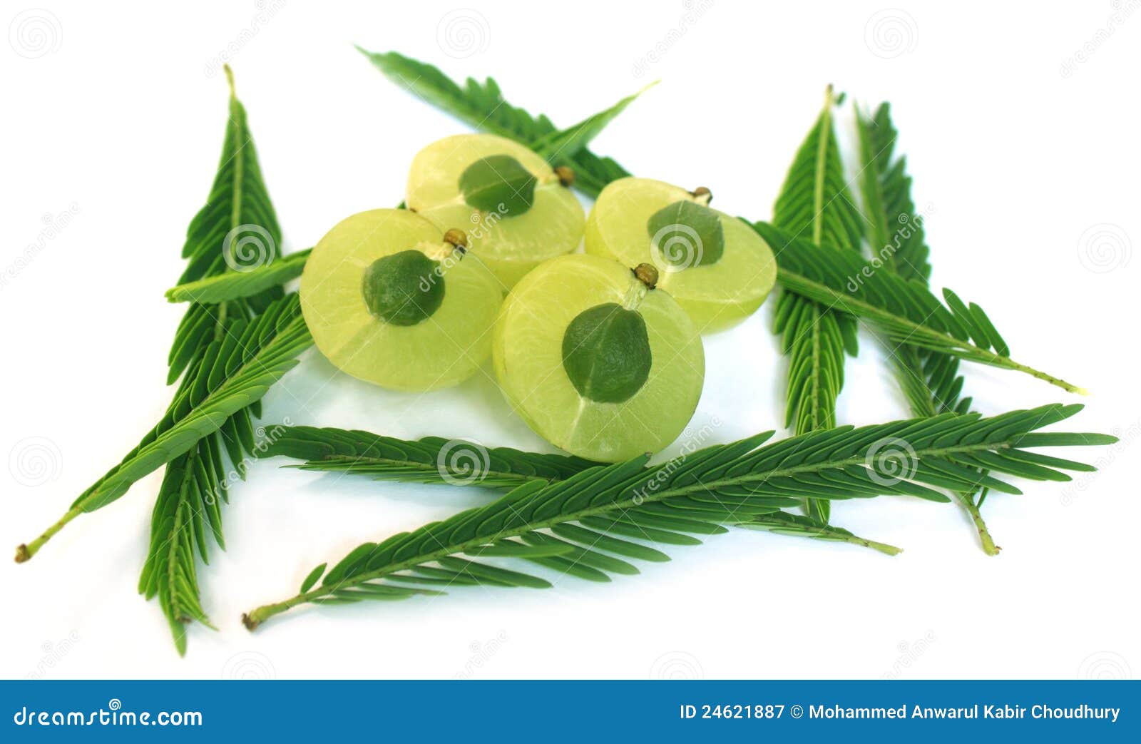 Sliced Amla with Green Leaves Stock Image - Image of healthy, juicy ...