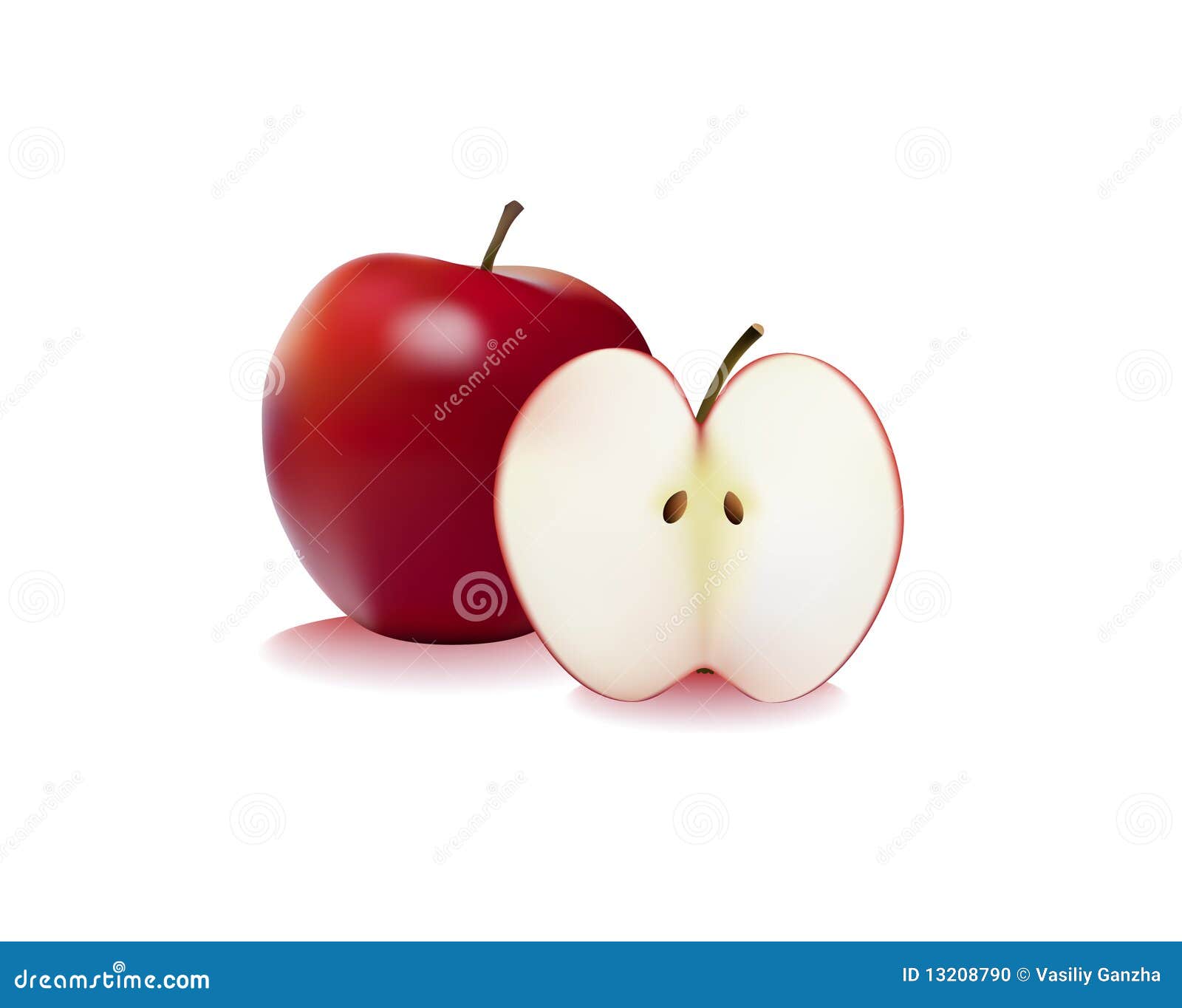 Sliced apple stock vector. Illustration of healthy, single - 13208790