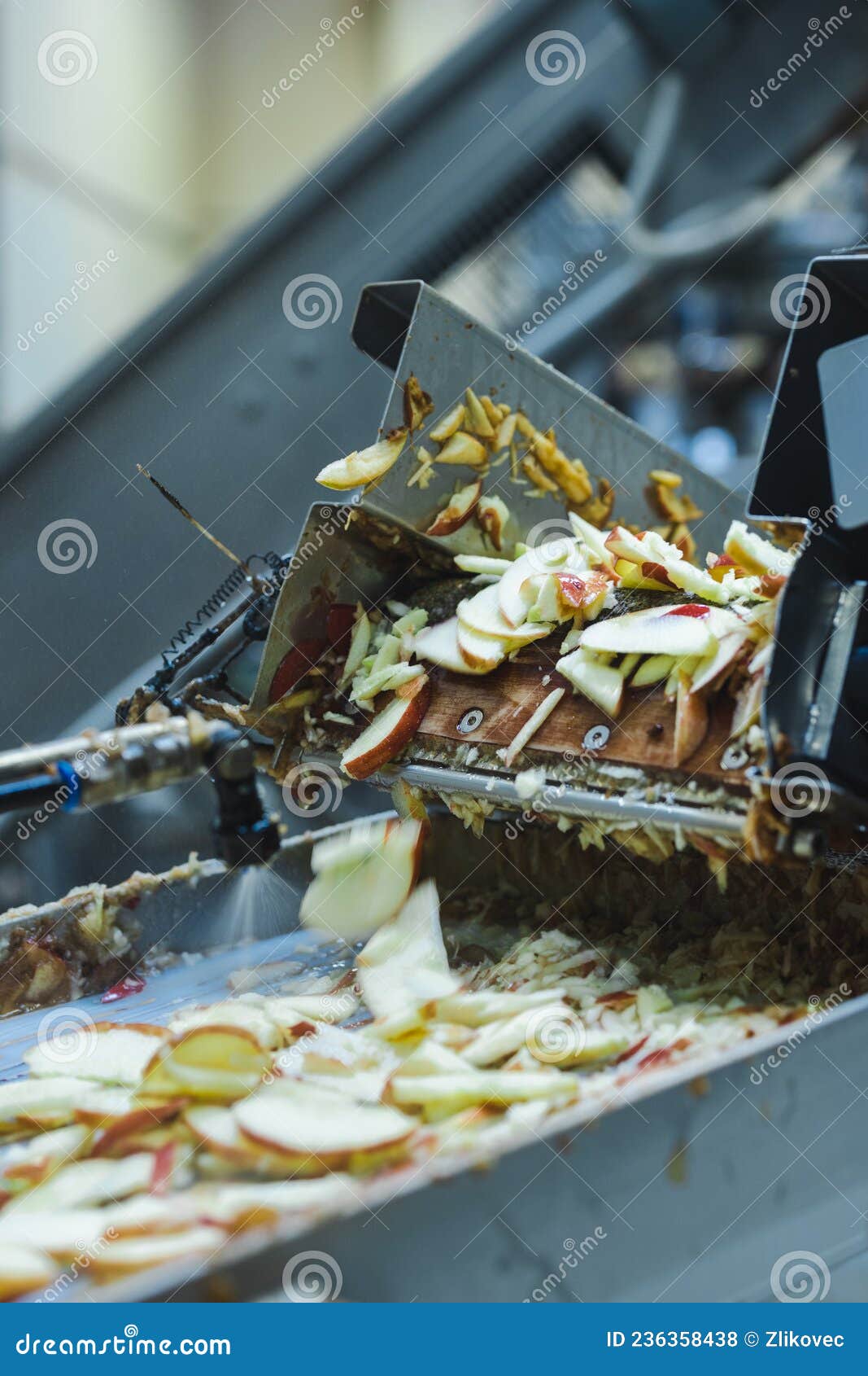 Sliced Apples on a Conveyor Belt in Food Processing Facility Stock ...