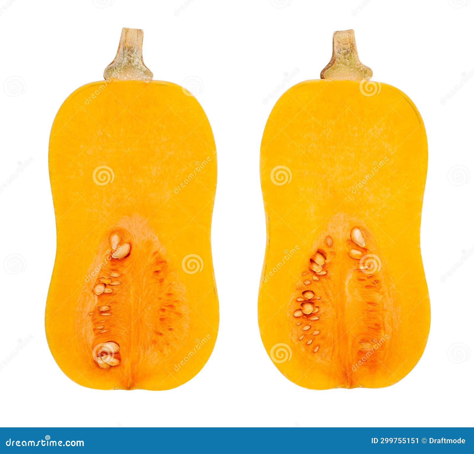 Sliced Butternut Path Isolated Stock Image - Image of nutrient, healthy ...