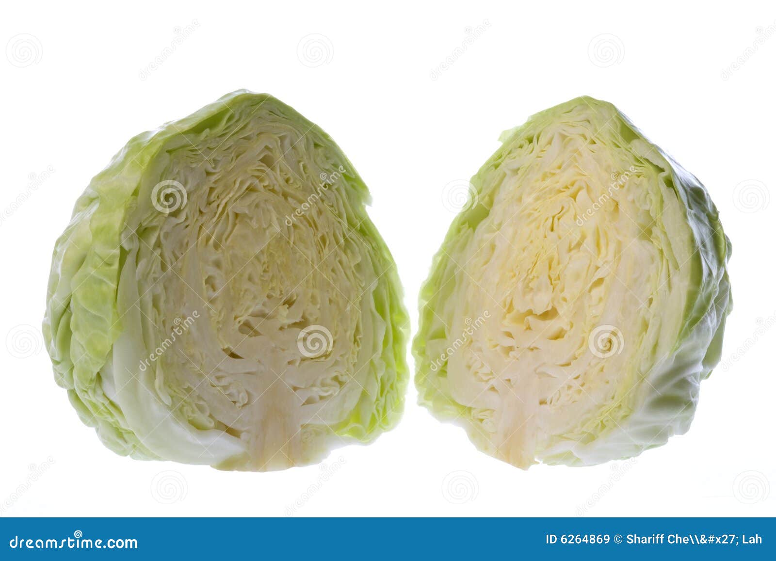 Sliced Cabbage Isolated stock image. Image of cooking - 6264869