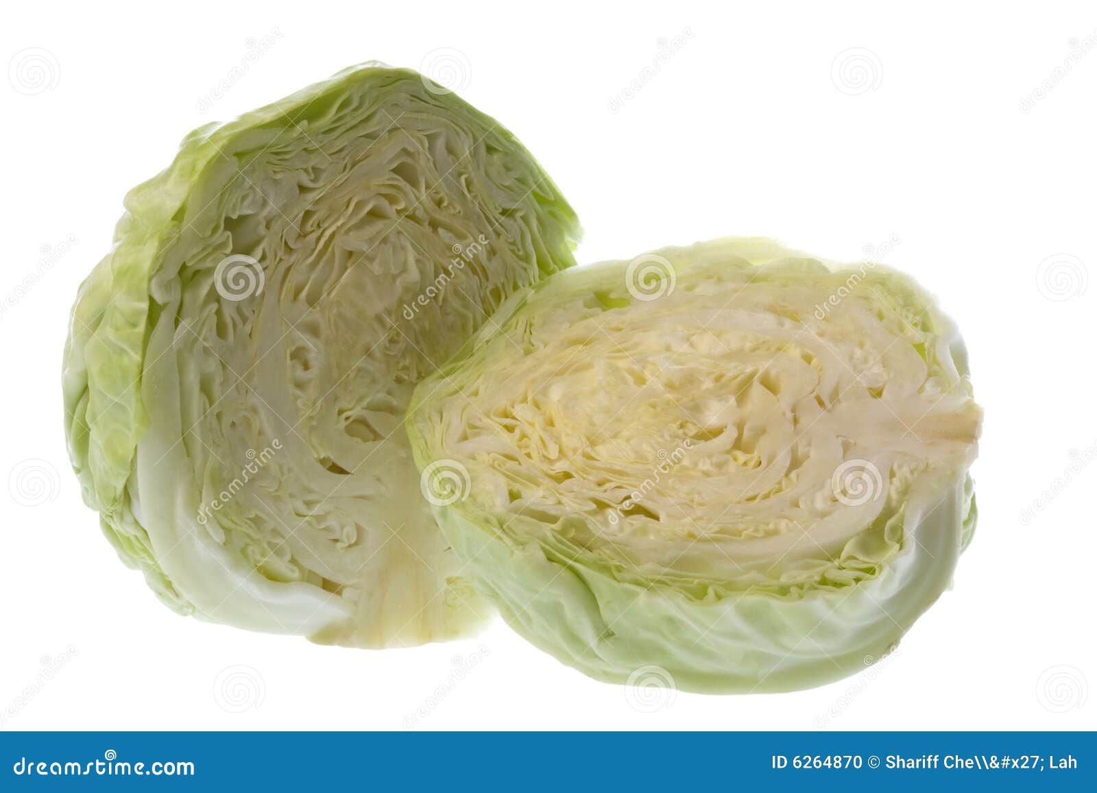 Sliced Cabbage Isolated stock photo. Image of cooking - 6264870